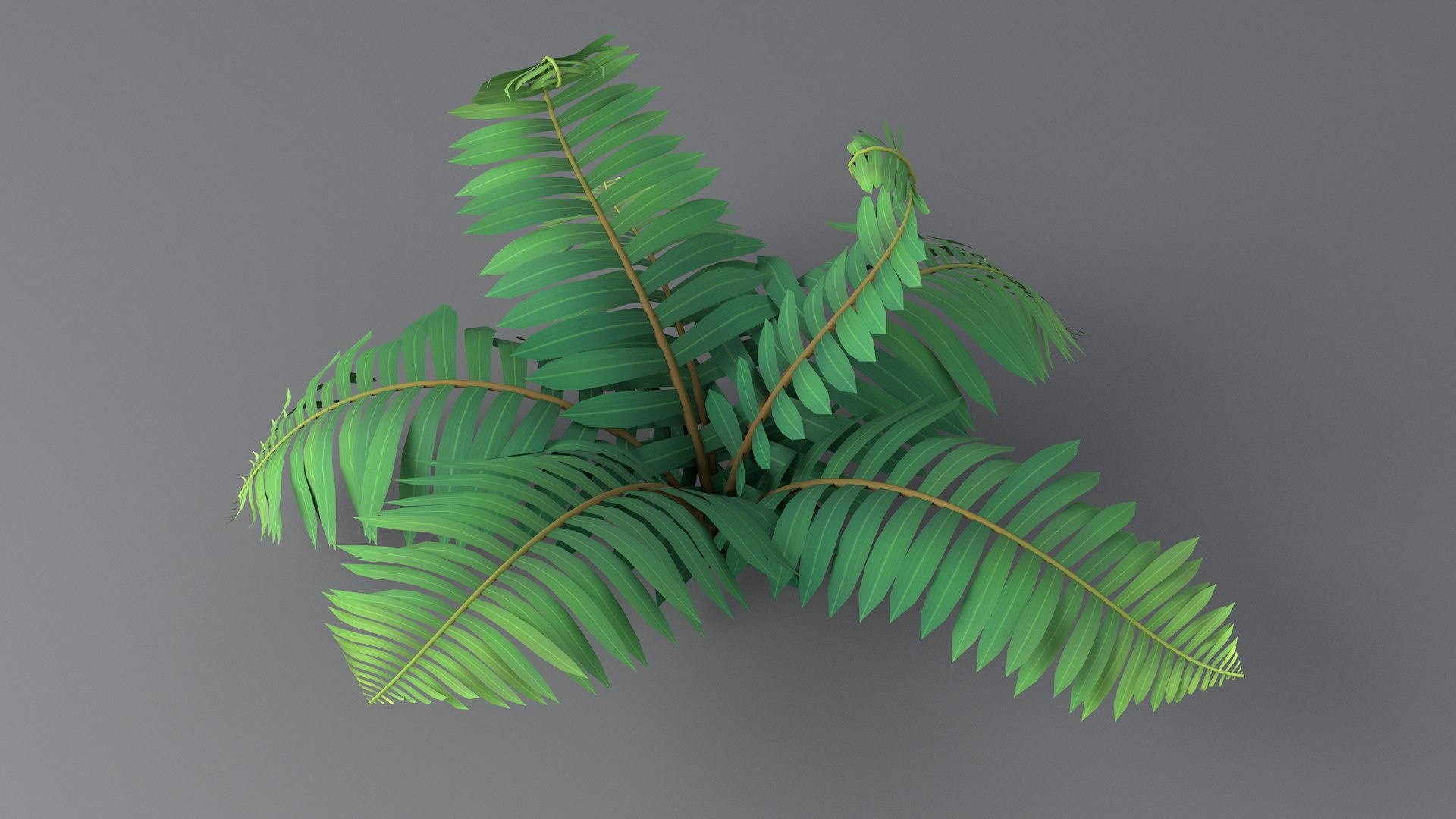 3D Cartoon Fern 01 model - TurboSquid 1938325