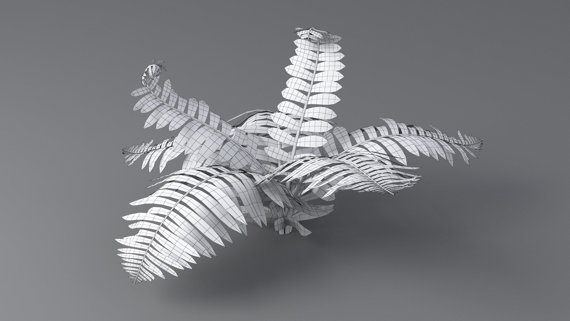 3D Cartoon Fern 01 model - TurboSquid 1938325