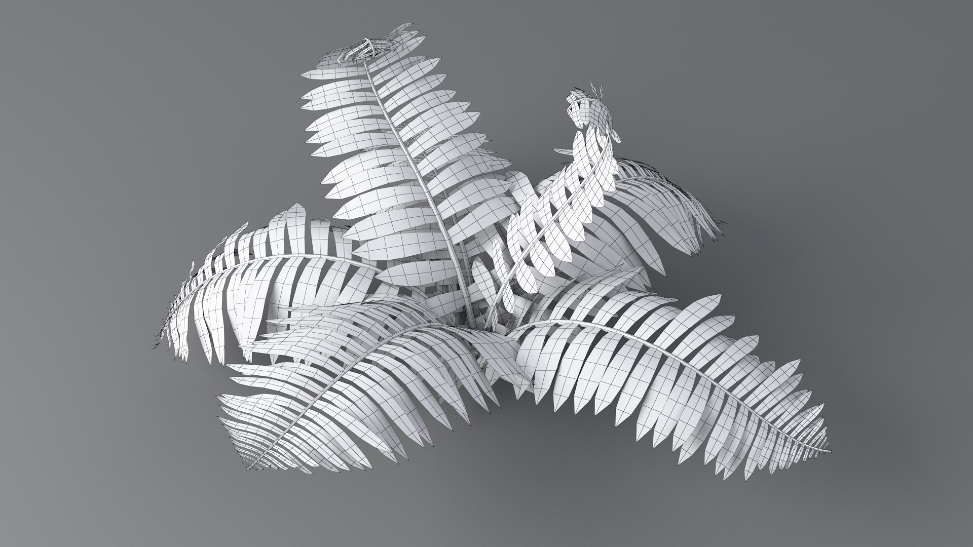 3D Cartoon Fern 01 model - TurboSquid 1938325