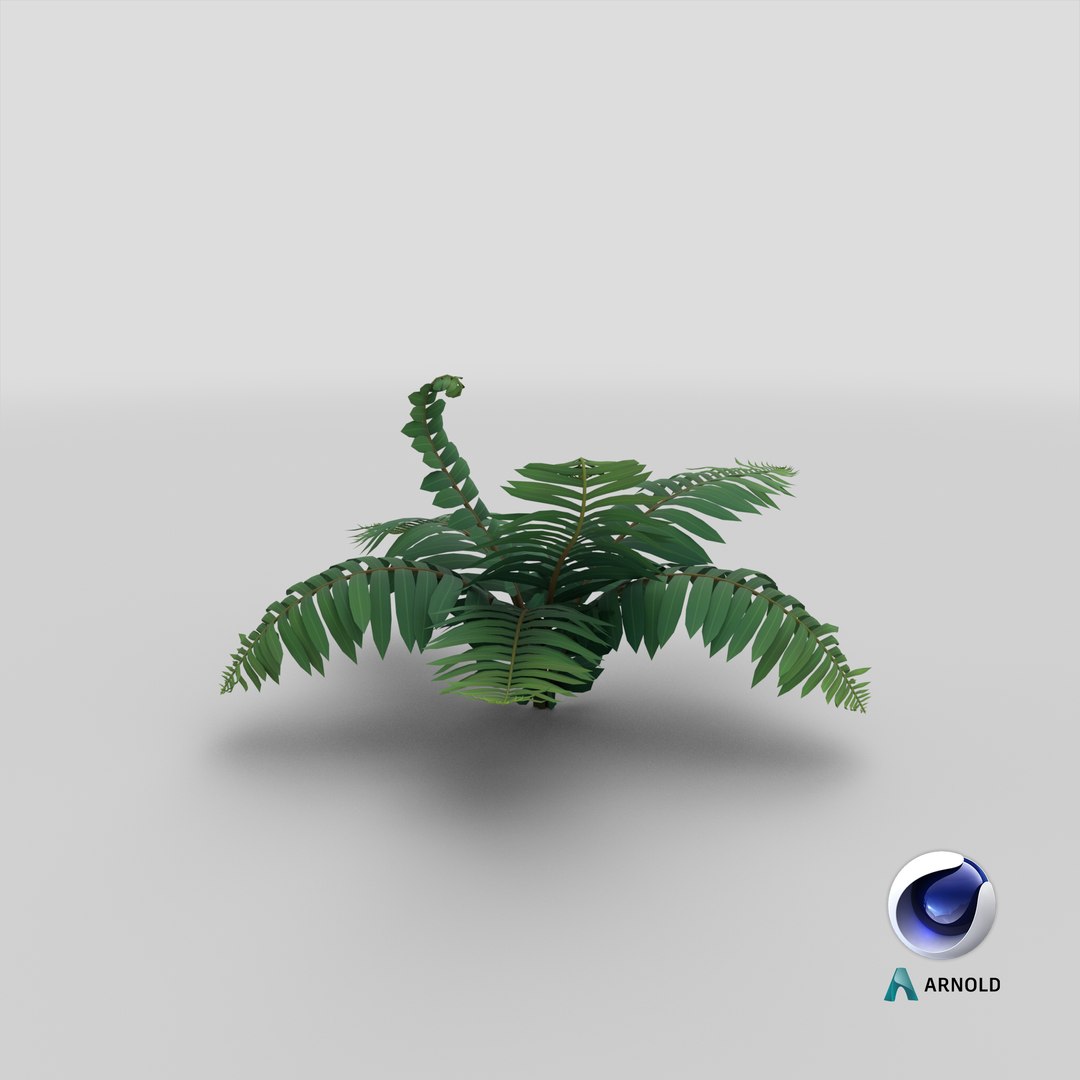 3D Cartoon Fern 01 model - TurboSquid 1938325