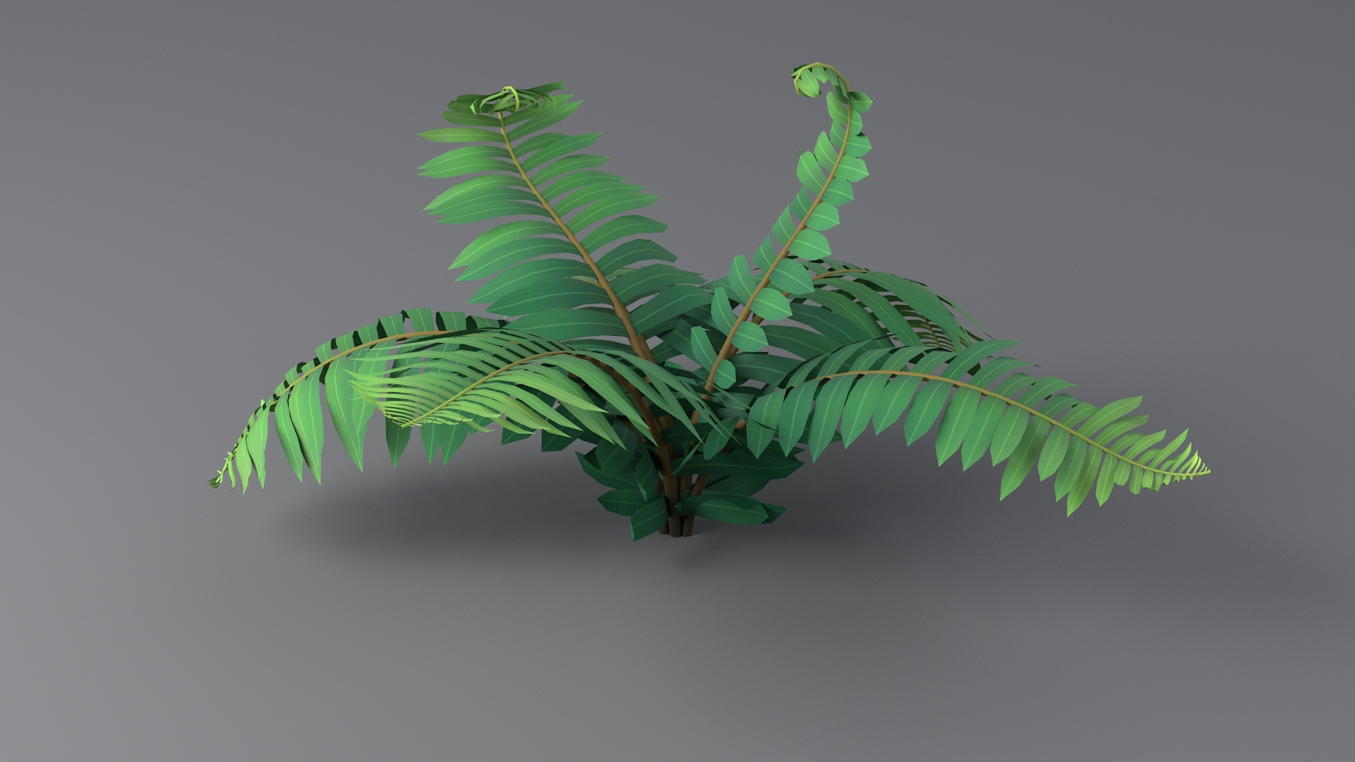3D Cartoon Fern 01 model - TurboSquid 1938325