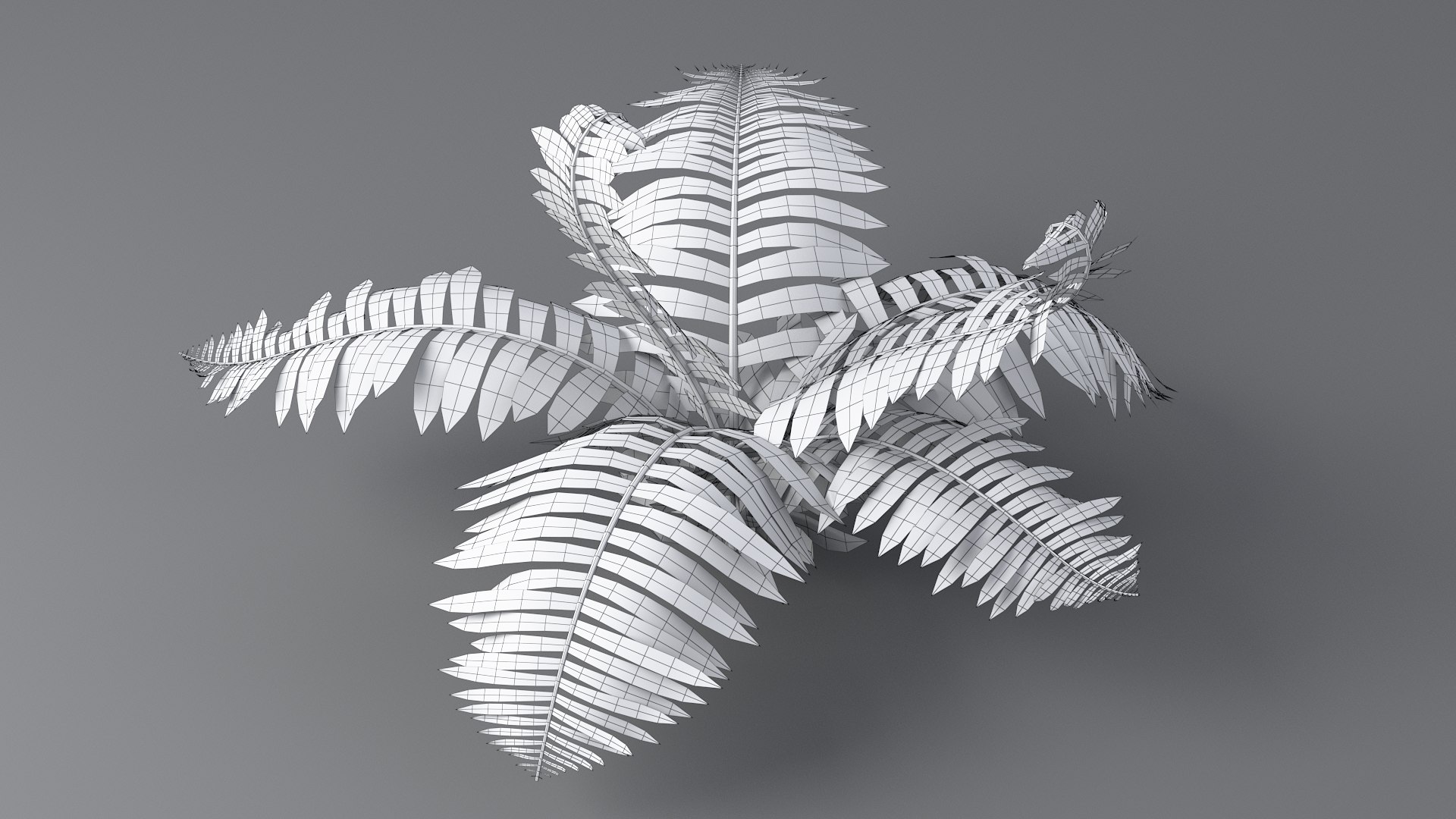 3D Cartoon Fern 01 model - TurboSquid 1938325