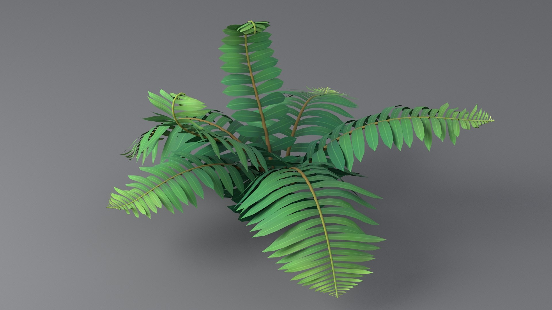 3D Cartoon Fern 01 model - TurboSquid 1938325
