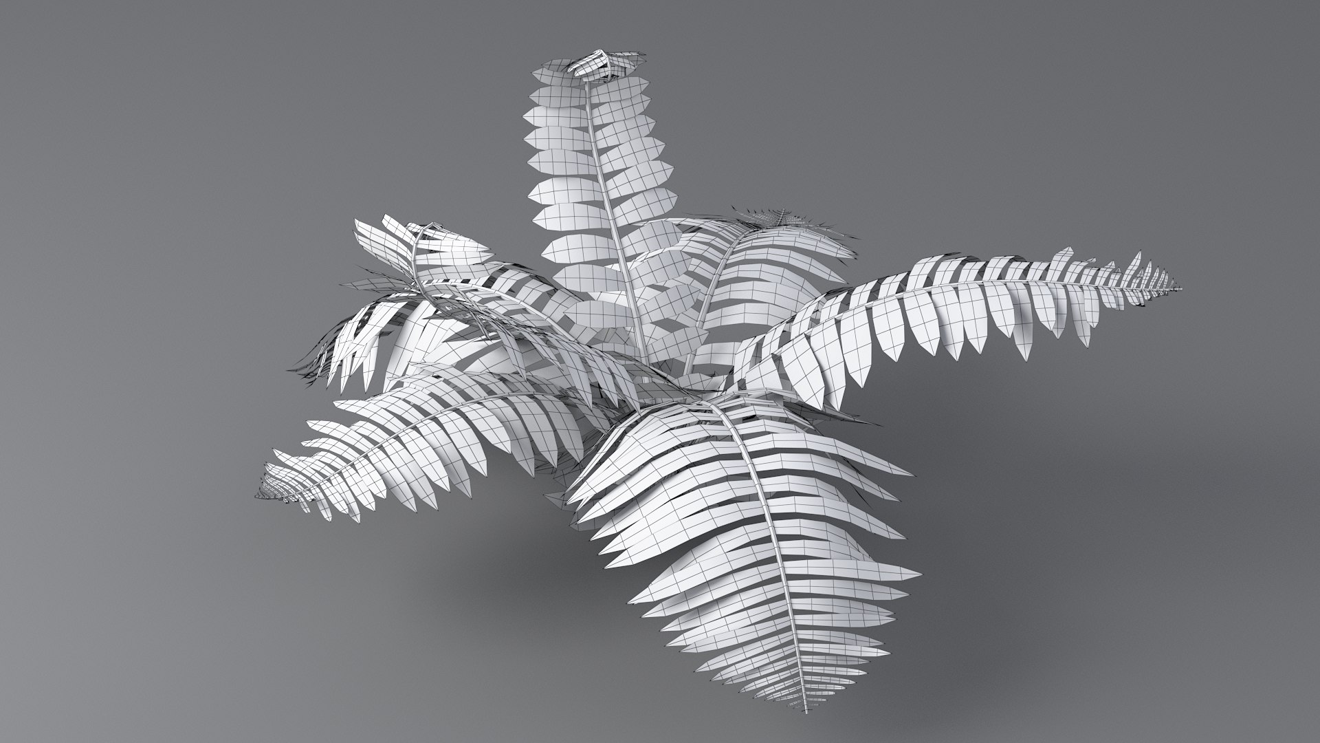 3D Cartoon Fern 01 model - TurboSquid 1938325