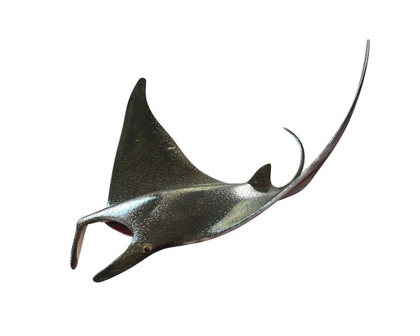 Manta Ray STL Models for Download | TurboSquid