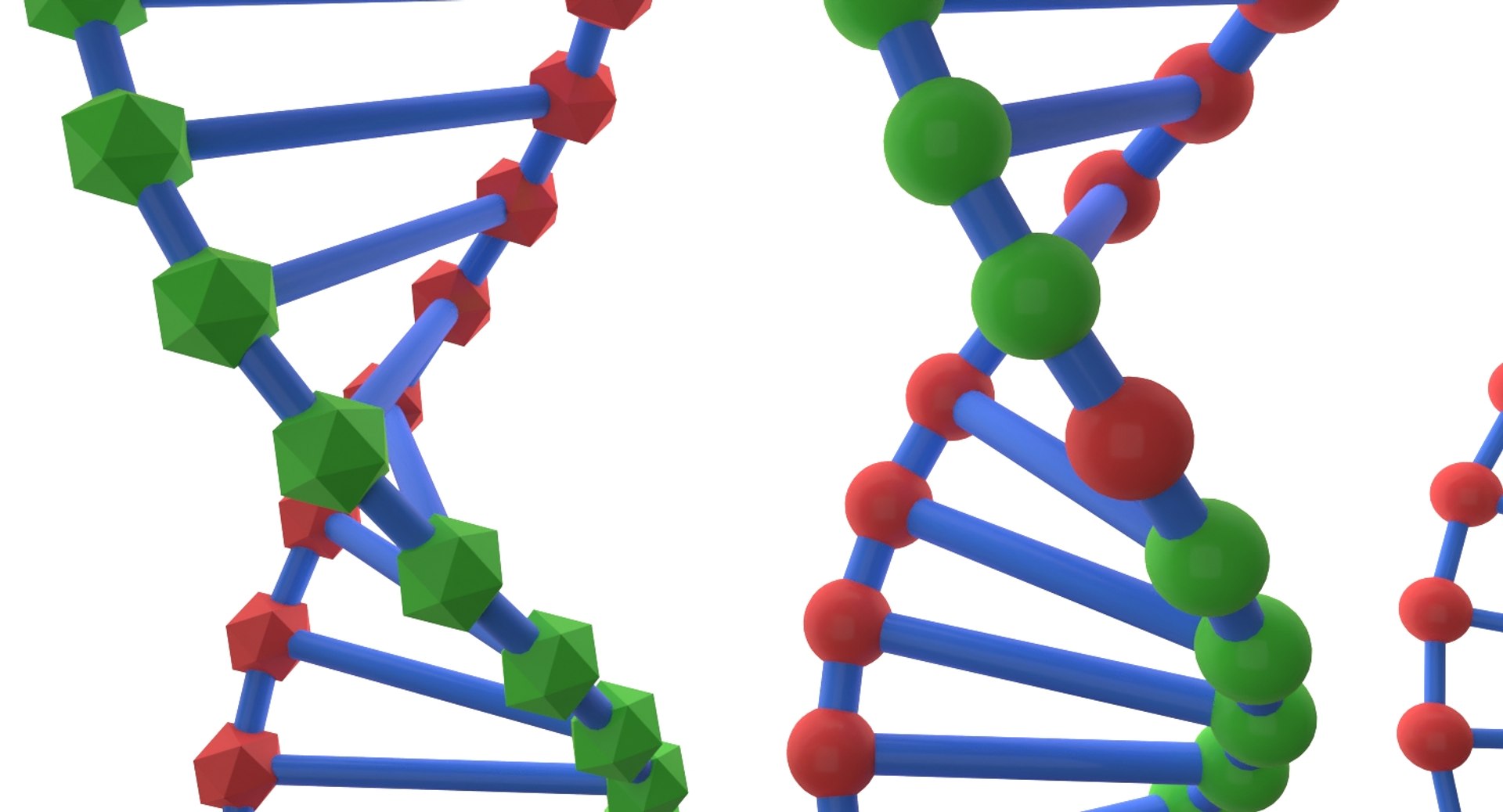 Dna 5 3D Model - TurboSquid 1309635