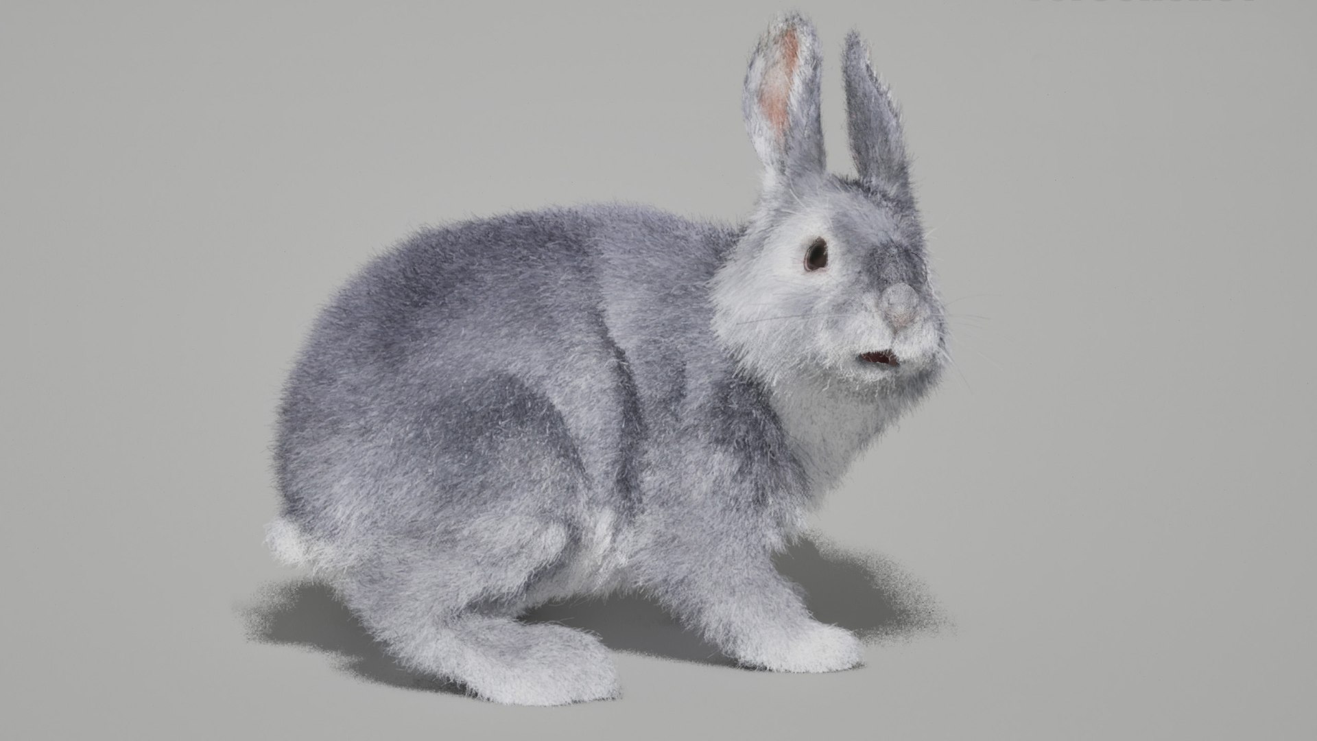 3D Rabbits Animated UNREAL Project - TurboSquid 2293157