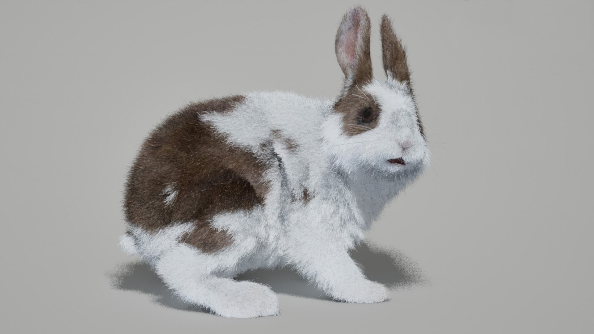 3D Rabbits Animated UNREAL Project - TurboSquid 2293157