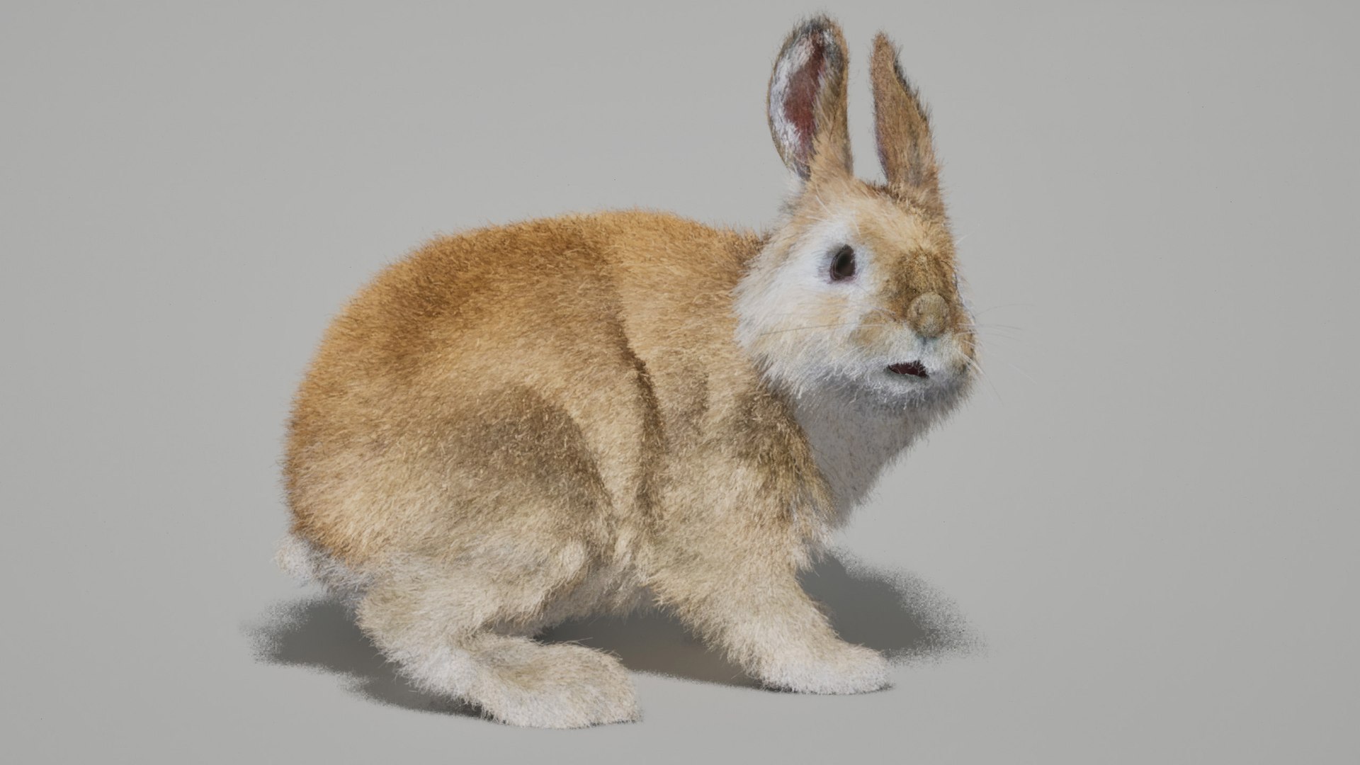 3D Rabbits Animated UNREAL Project - TurboSquid 2293157