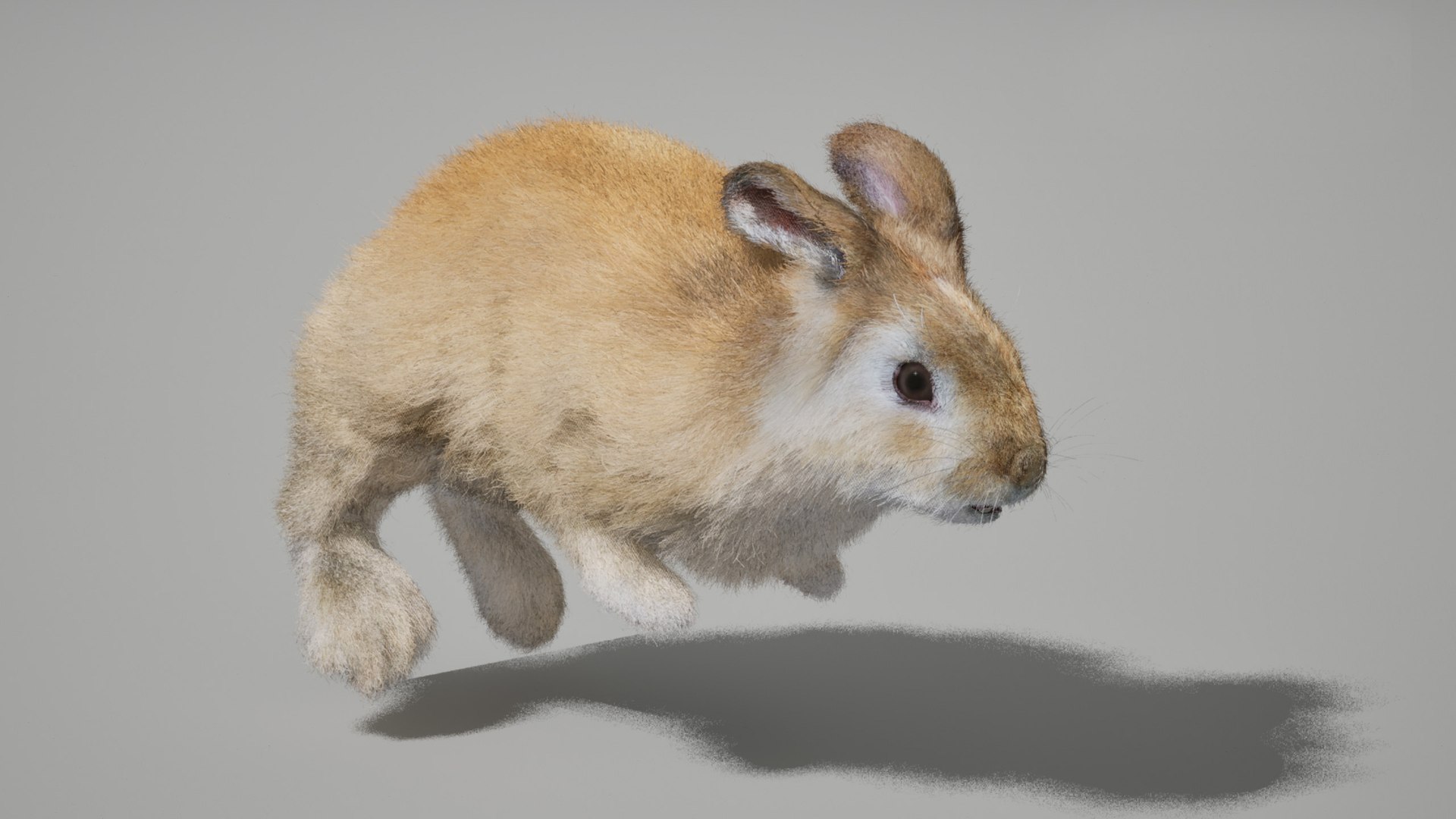 3D Rabbits Animated UNREAL Project - TurboSquid 2293157