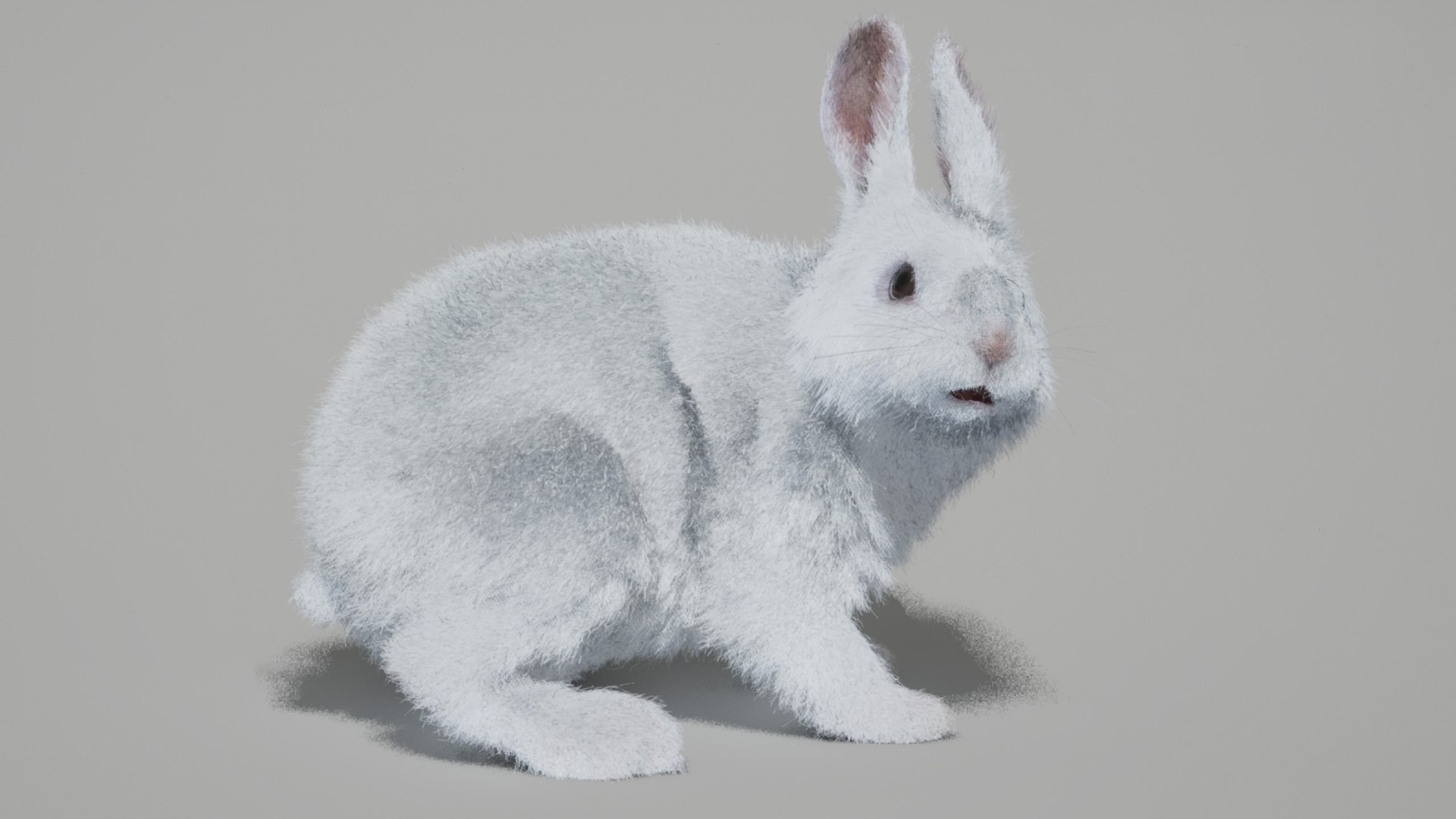 3D Rabbits Animated UNREAL Project - TurboSquid 2293157