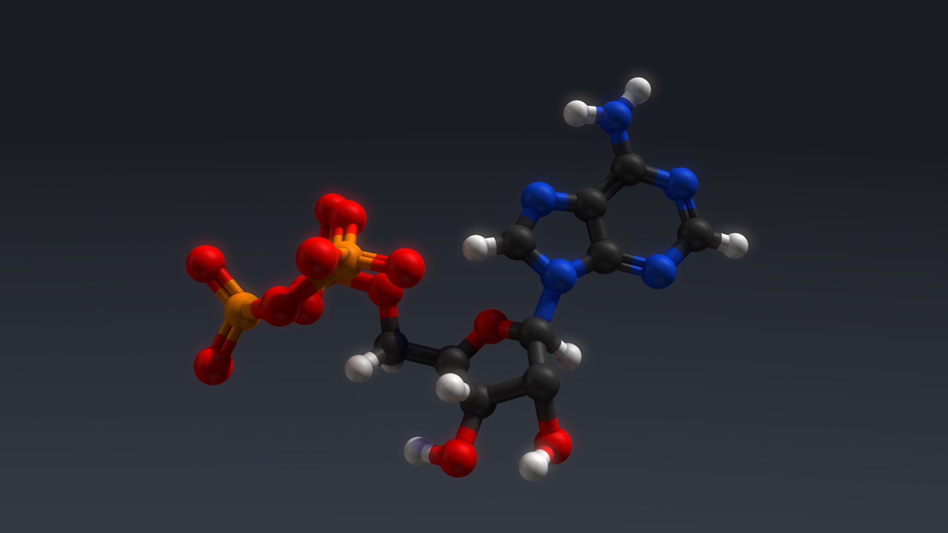 3d Atp Structure Model