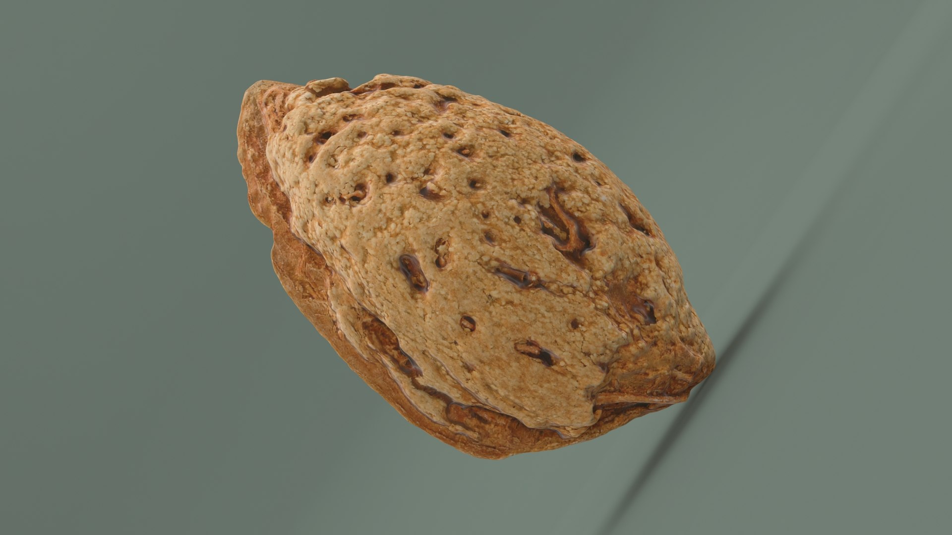 3D model Almond Shell 02 - TurboSquid 2013330