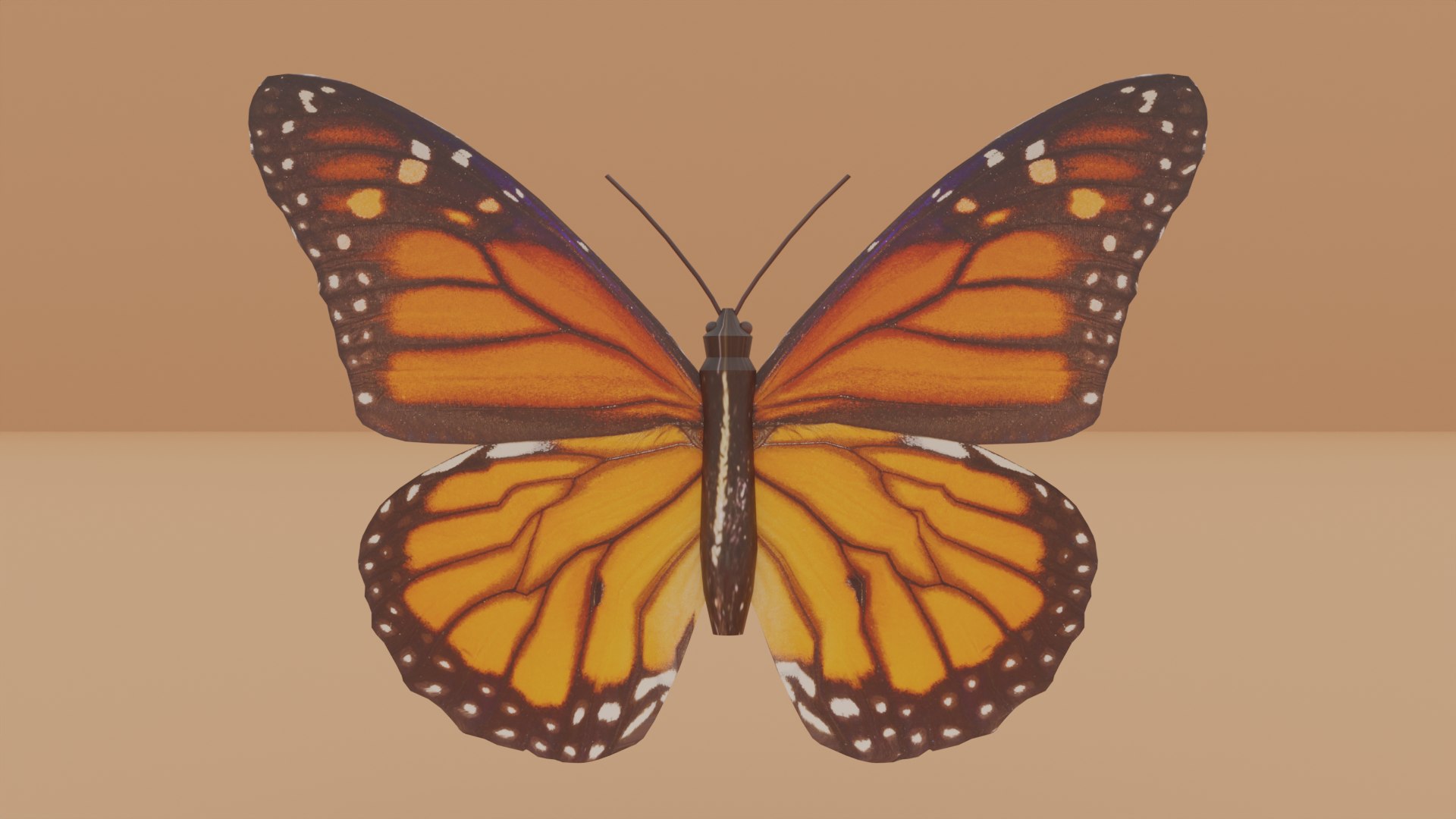 3D Monarch Butterfly Model - TurboSquid 2173977
