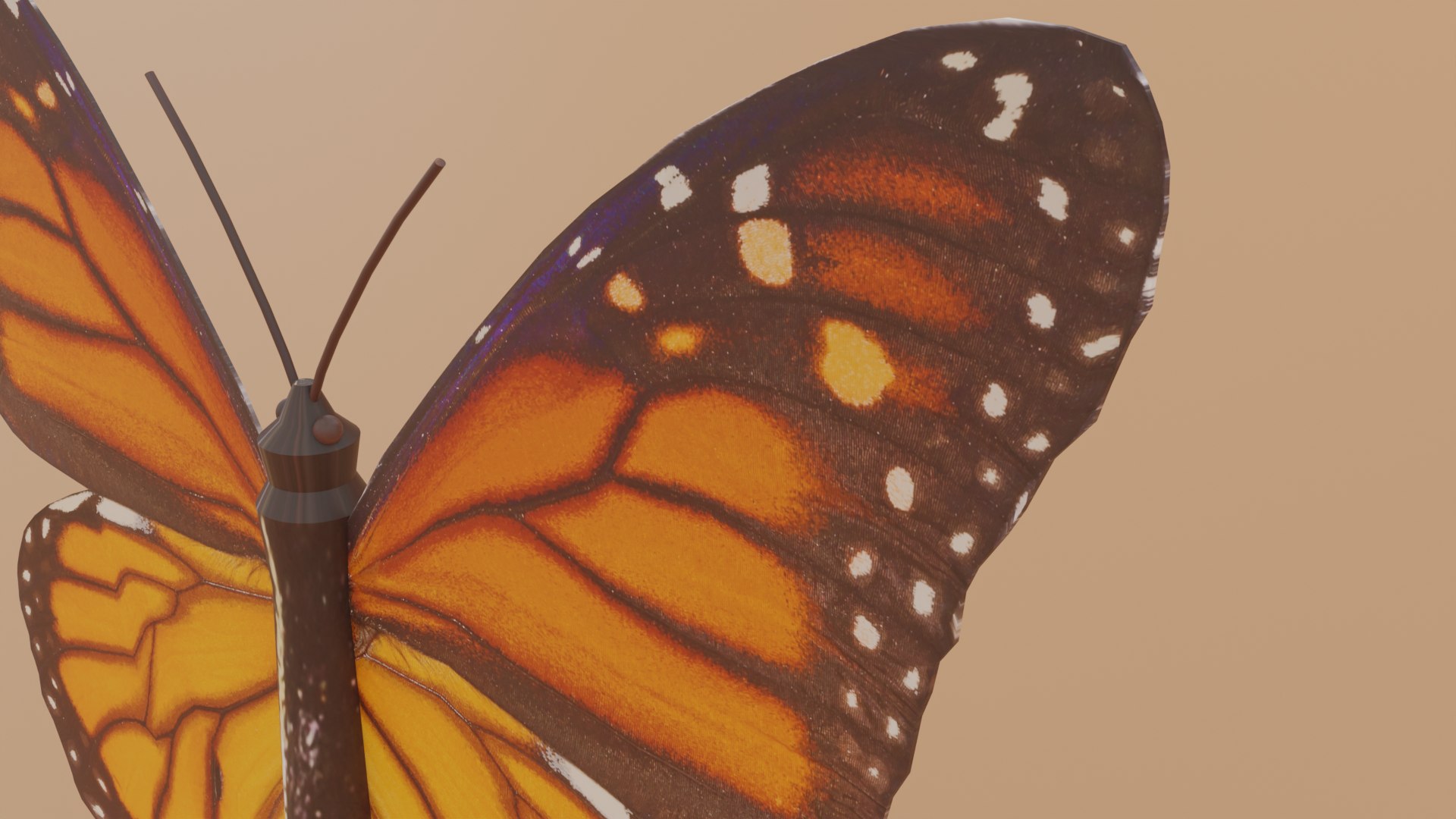 3D Monarch Butterfly Model - TurboSquid 2173977