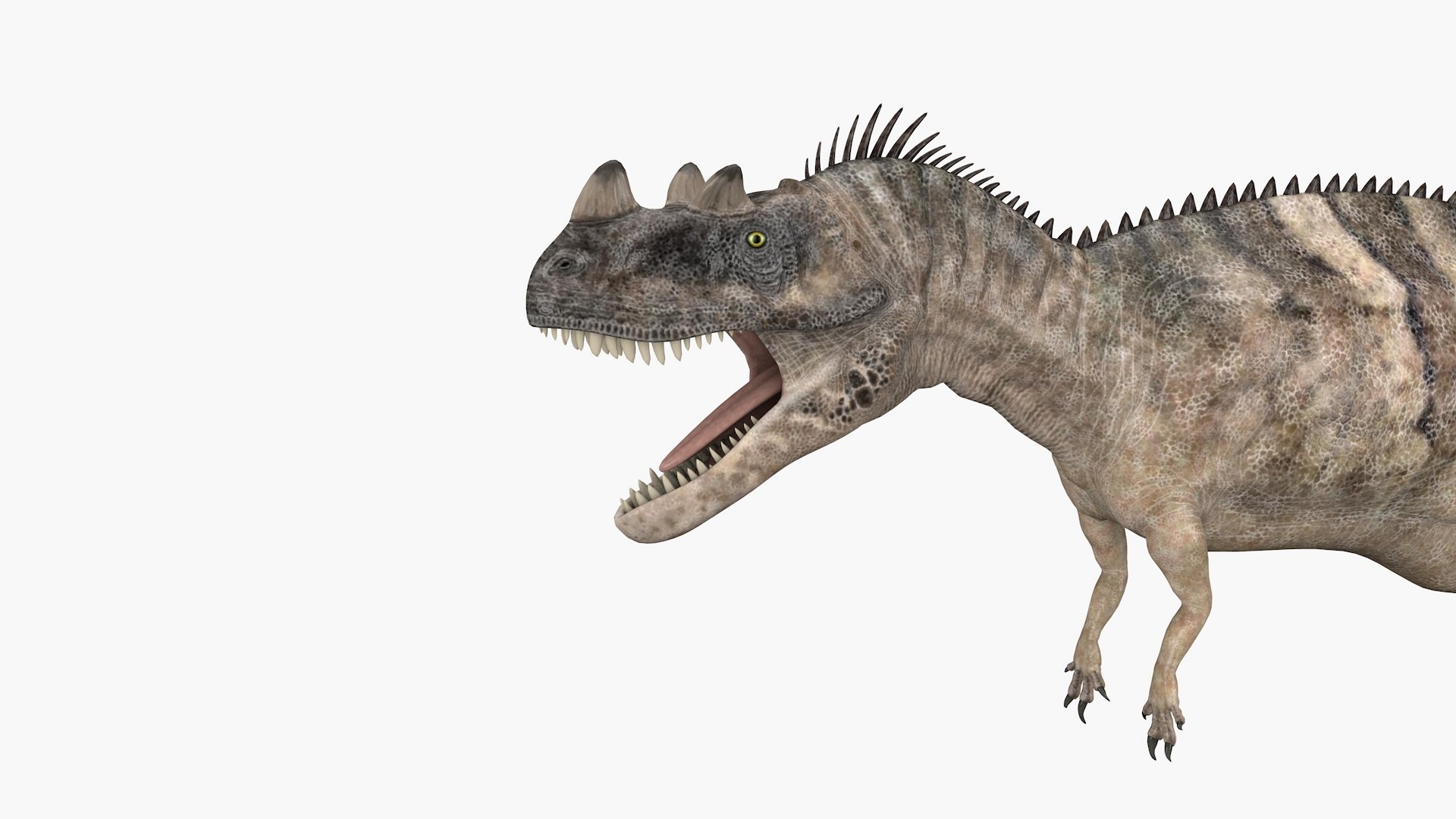 3D Model Ceratosaurus - TurboSquid 1844282