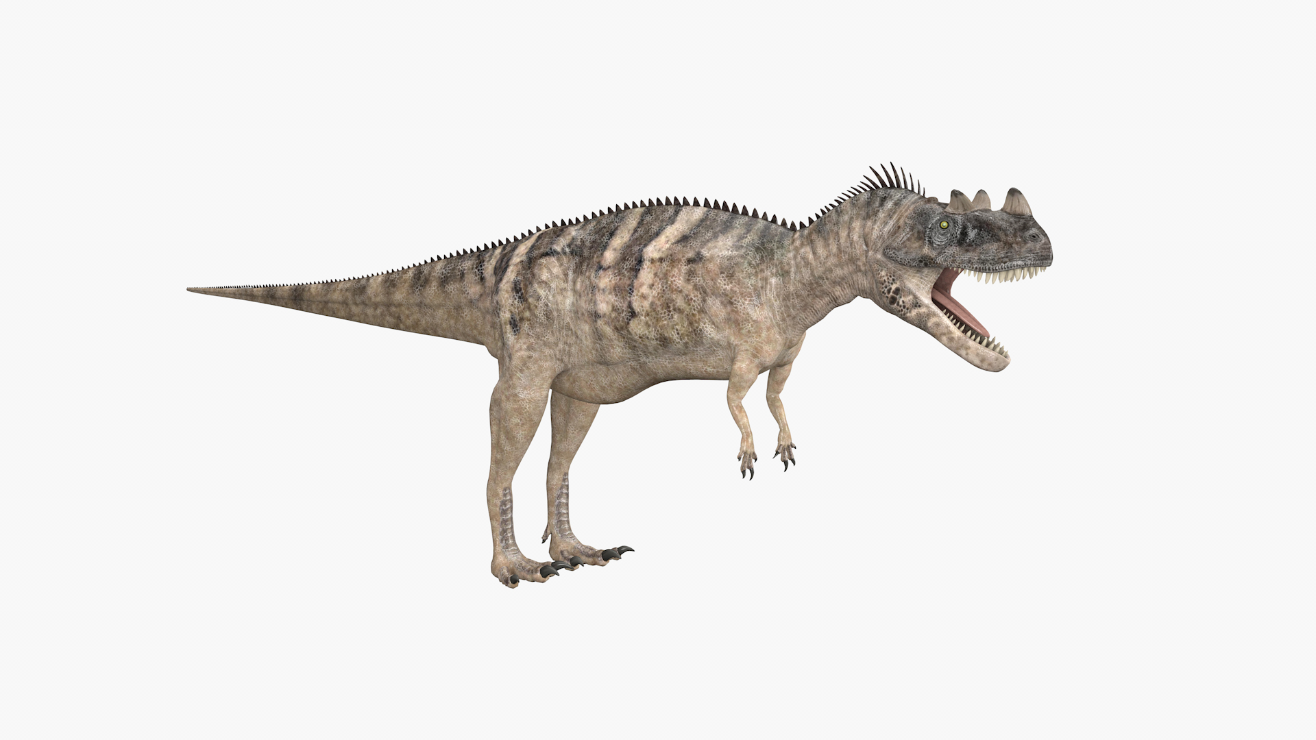 3D Model Ceratosaurus - TurboSquid 1844282