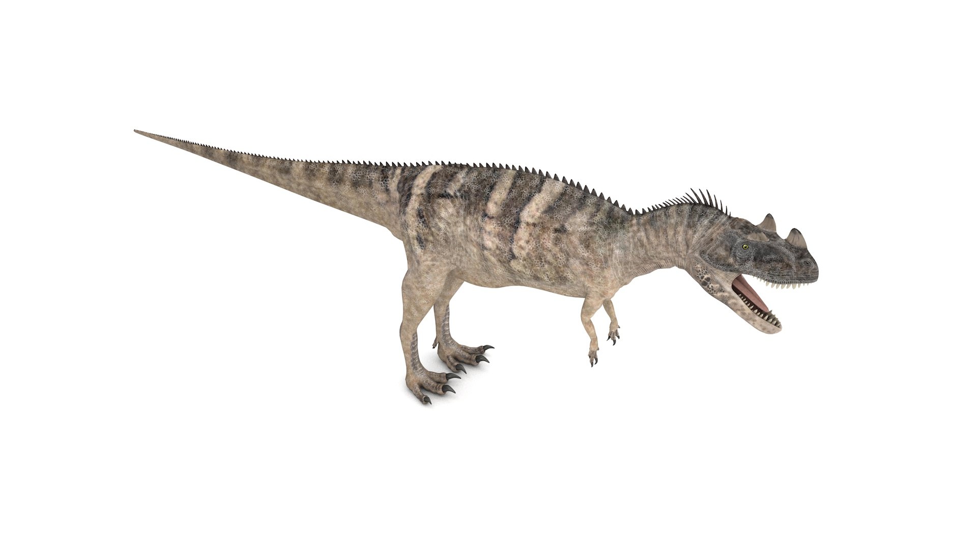 3D Model Ceratosaurus - TurboSquid 1844282