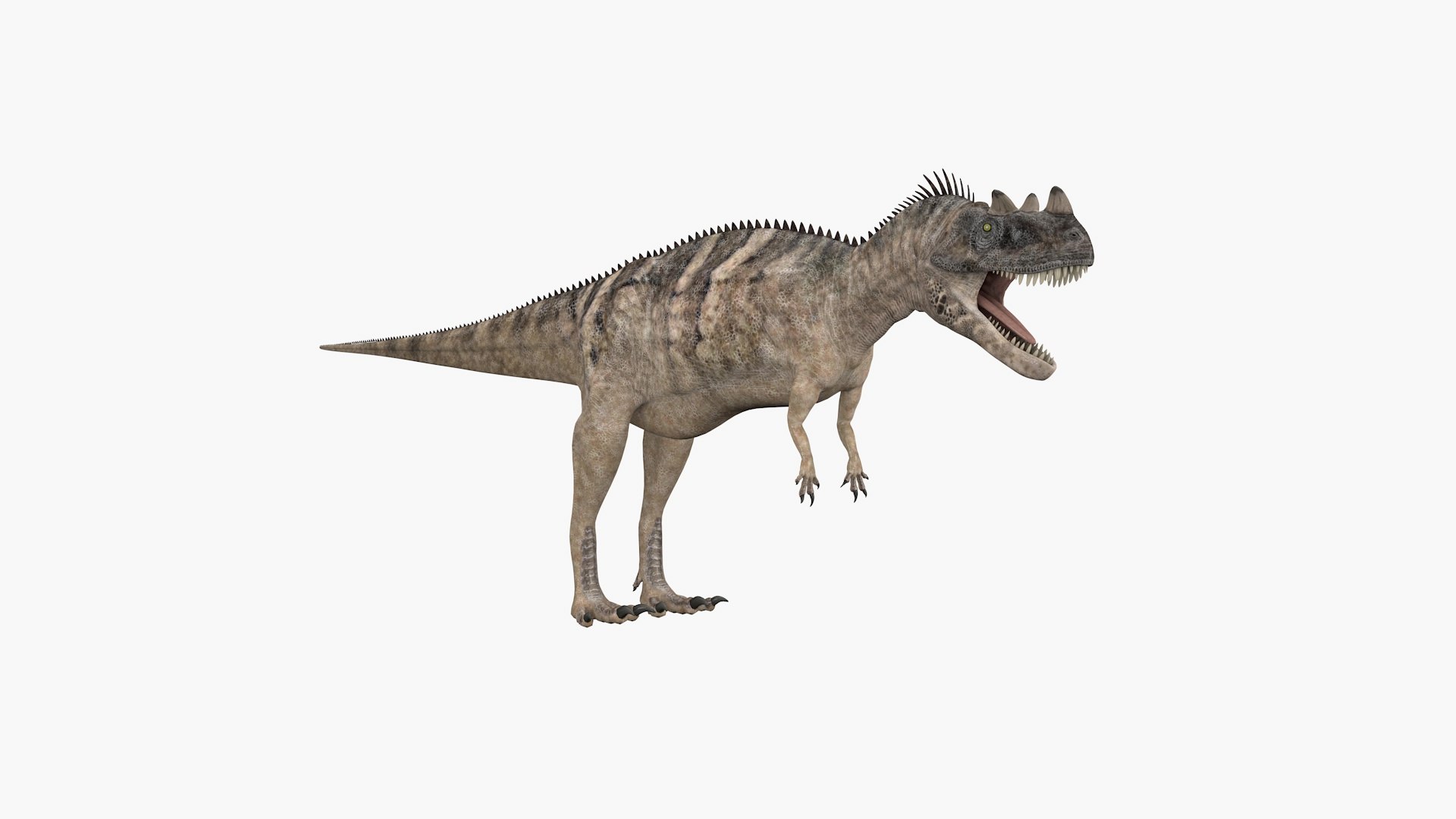 3D Model Ceratosaurus - TurboSquid 1844282
