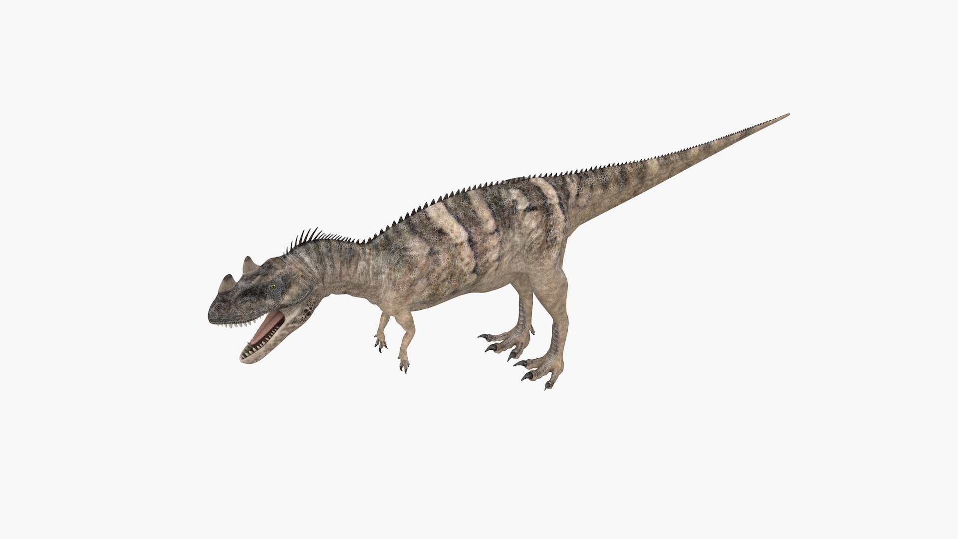 3D Model Ceratosaurus - TurboSquid 1844282