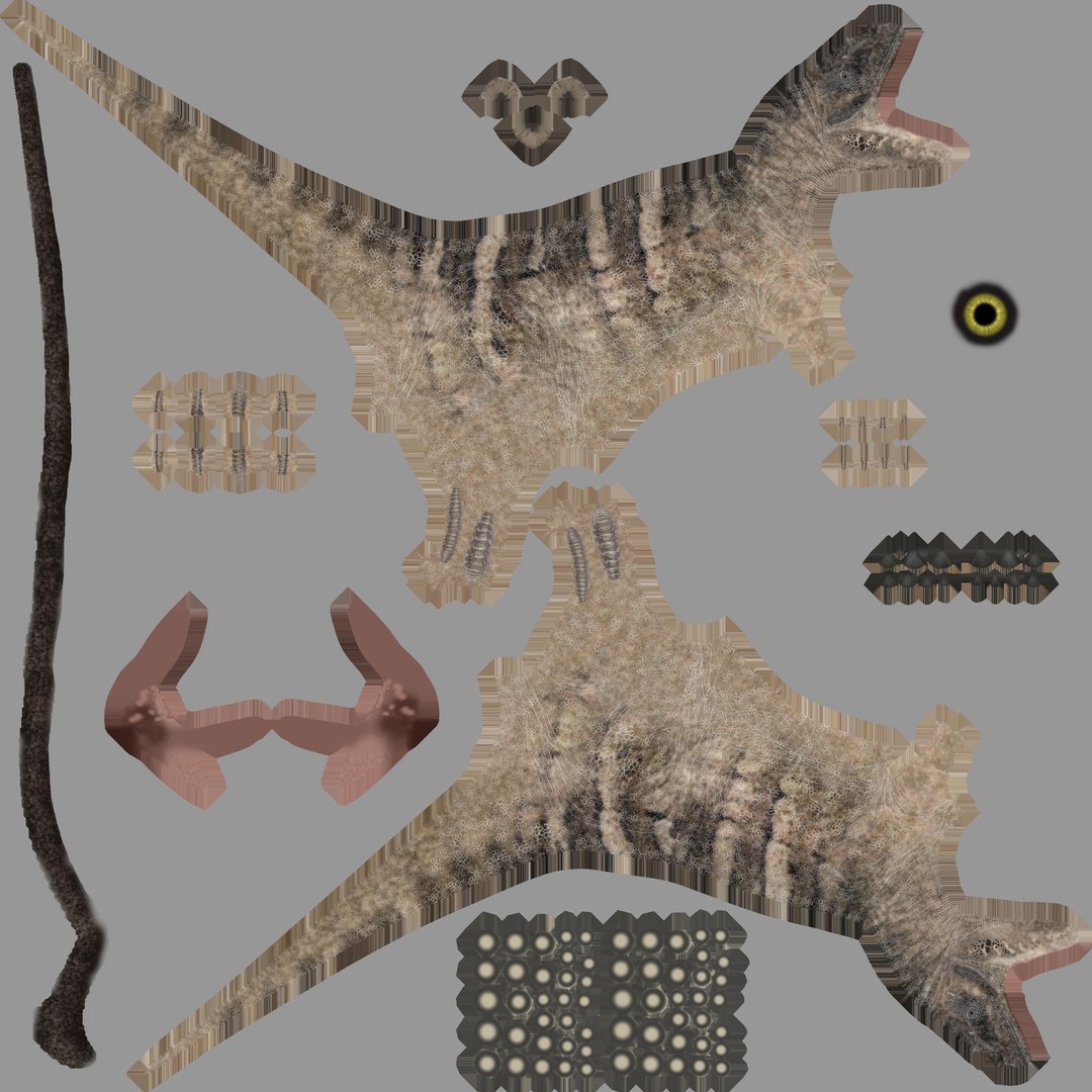 3D Model Ceratosaurus - TurboSquid 1844282