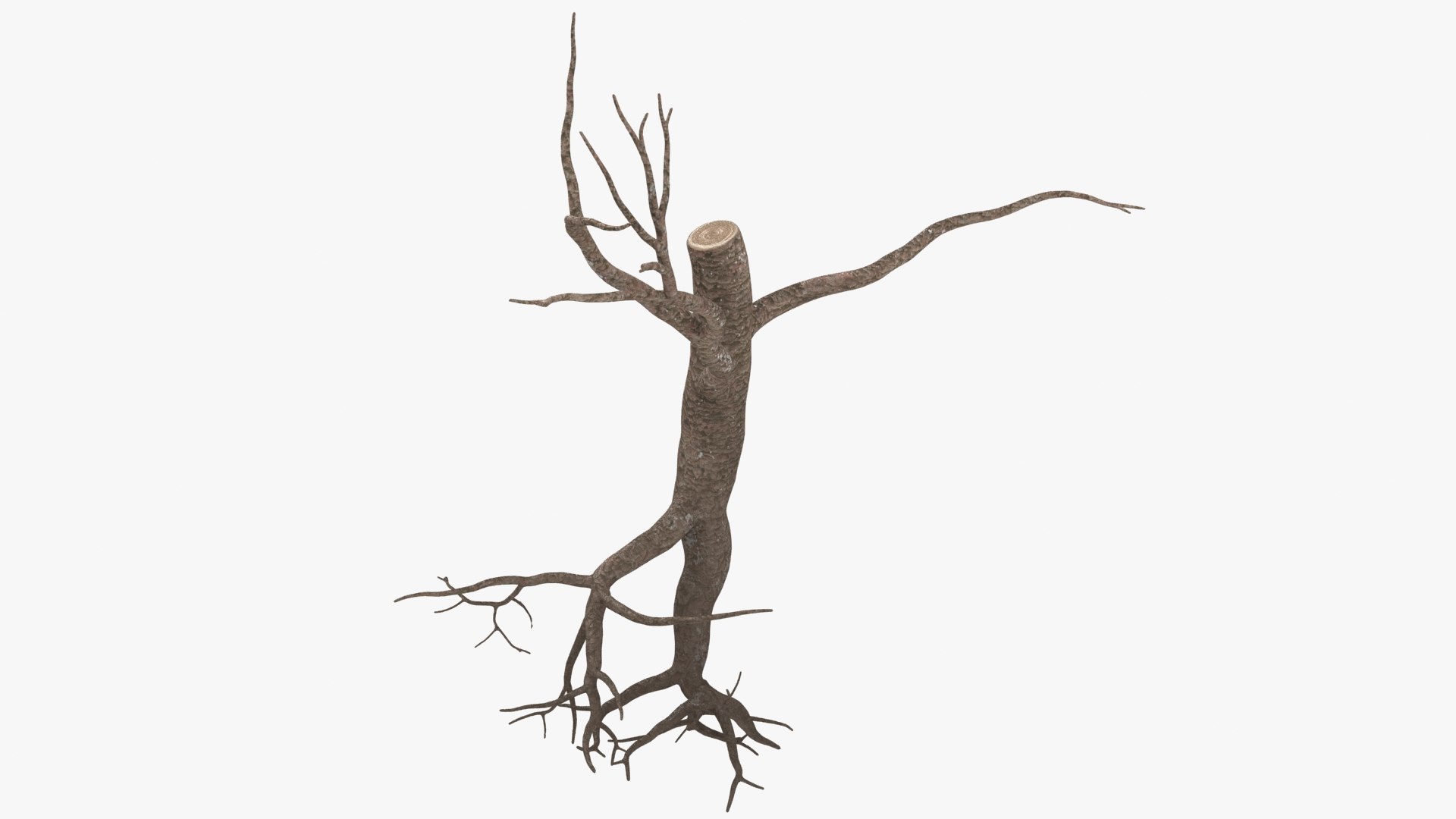 Tree Root 01 3D Model - TurboSquid 2139556