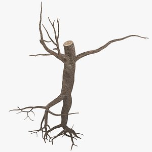 3D Tree Root Models - Browse & Download Formats - TurboSquid