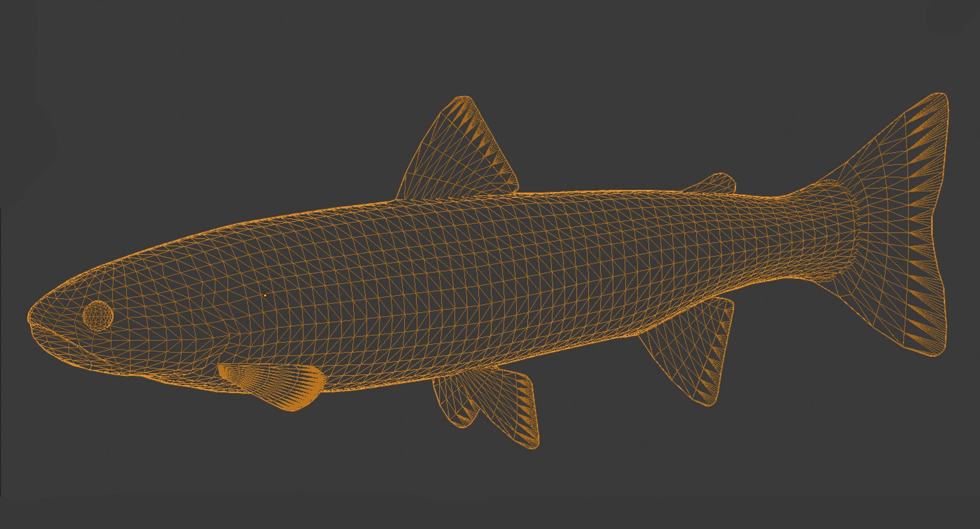 American Amemasu 3d Model