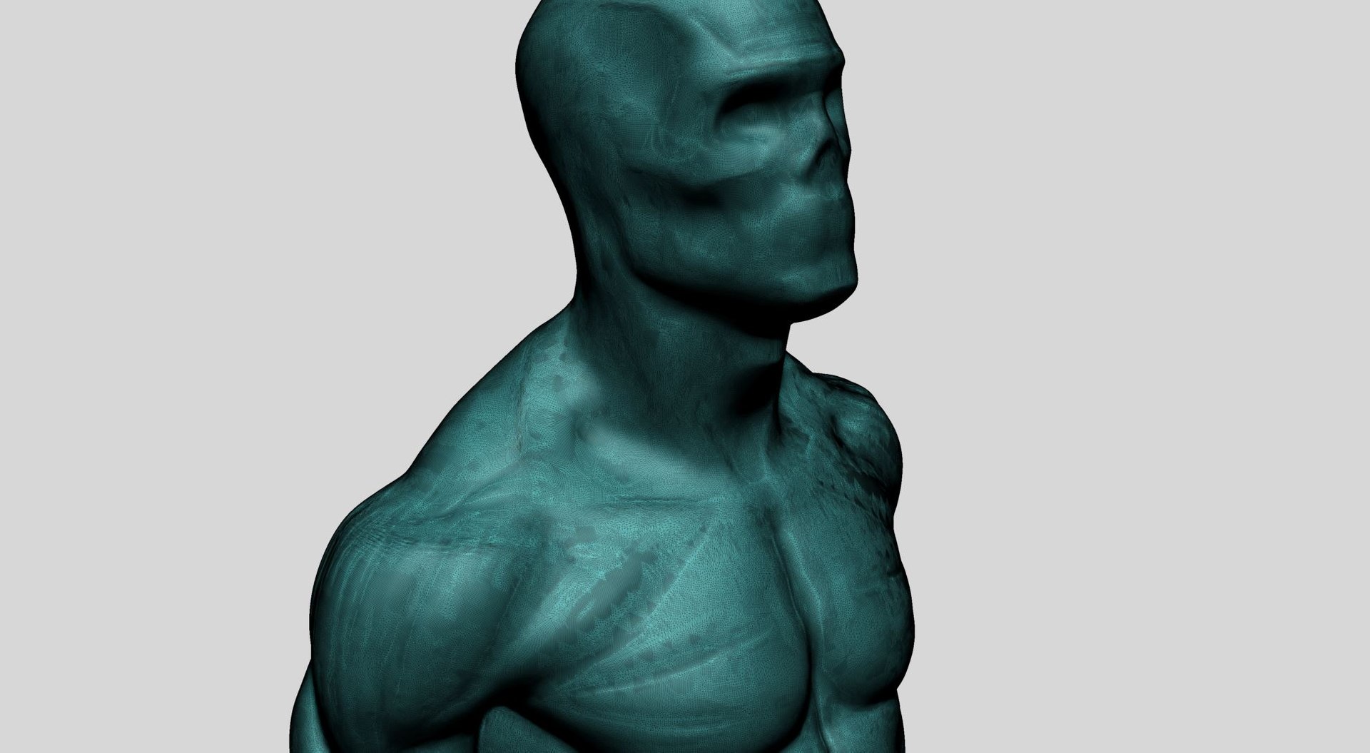 Male Upper Body For 3DPrint 3D Model - TurboSquid 2198880