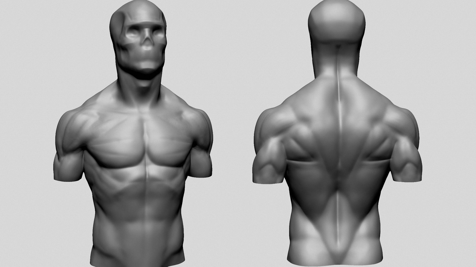 Male Upper Body For 3DPrint 3D Model - TurboSquid 2198880