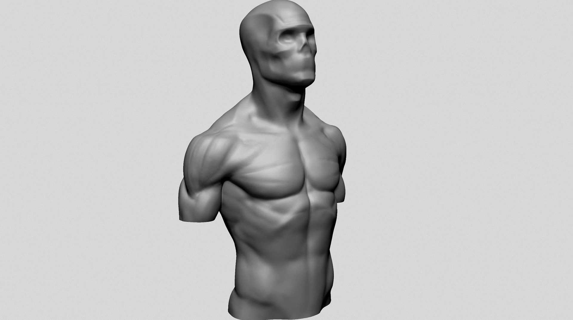 Male Upper Body For 3DPrint 3D Model - TurboSquid 2198880