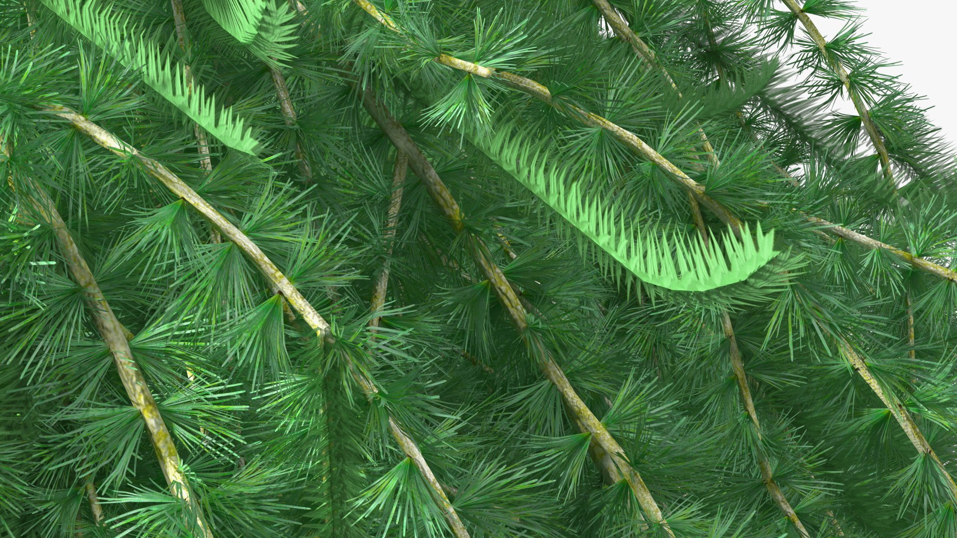 3D Larix Kaempferi Stiff Weeper - TurboSquid 1860937