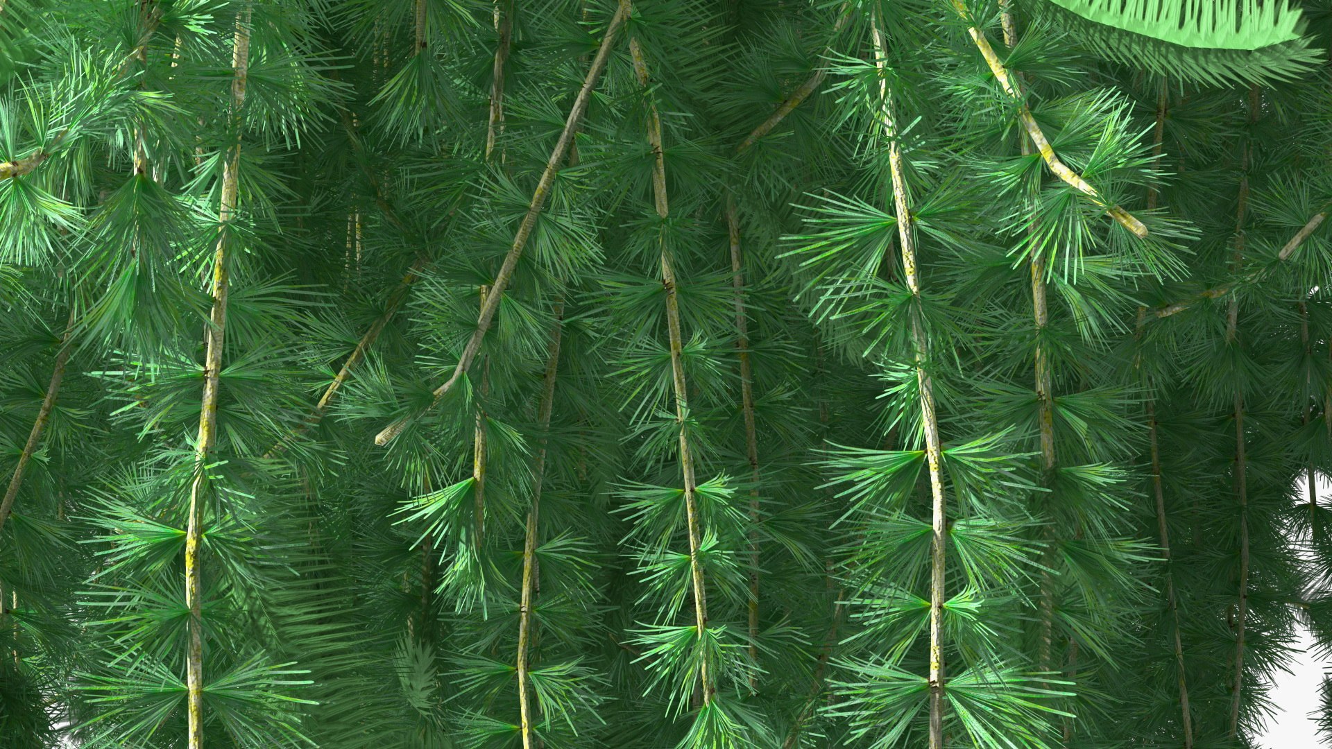 3D Larix Kaempferi Stiff Weeper - TurboSquid 1860937