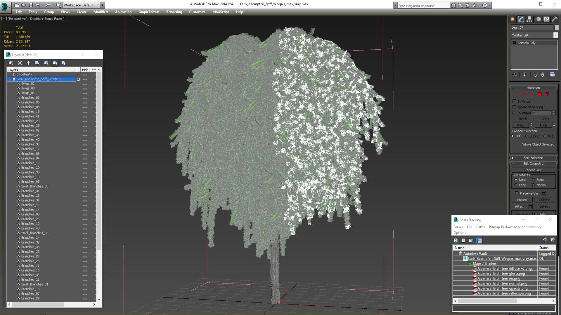 3D Larix Kaempferi Stiff Weeper - TurboSquid 1860937