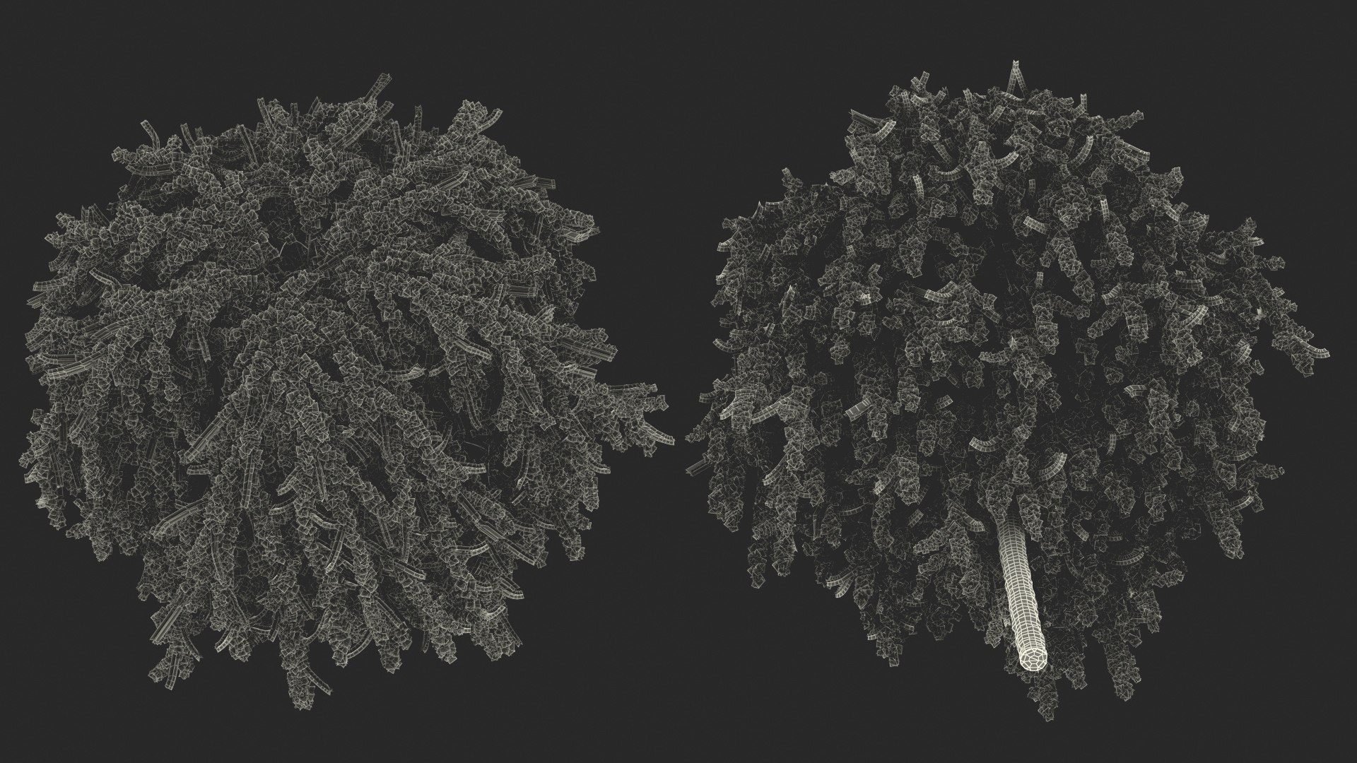 3D Larix Kaempferi Stiff Weeper - TurboSquid 1860937
