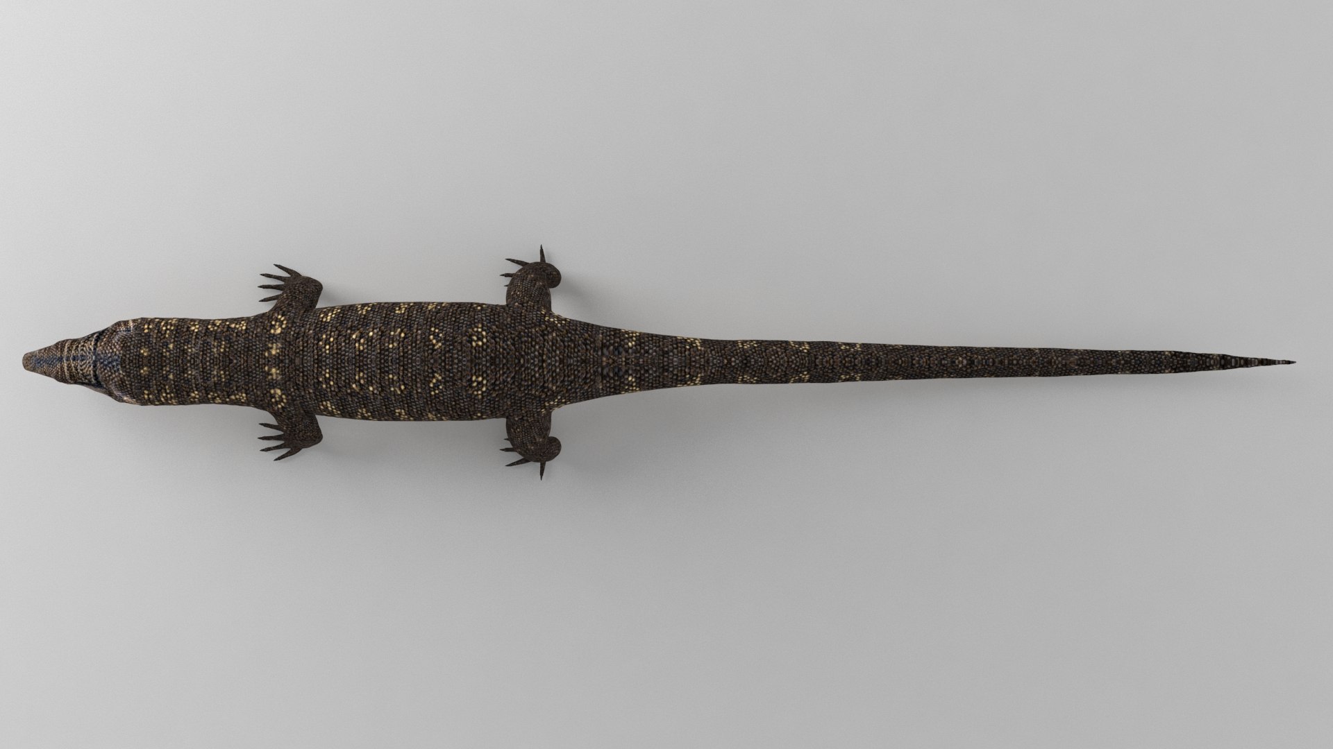 Monitor Lizard 3D Model - TurboSquid 1745786