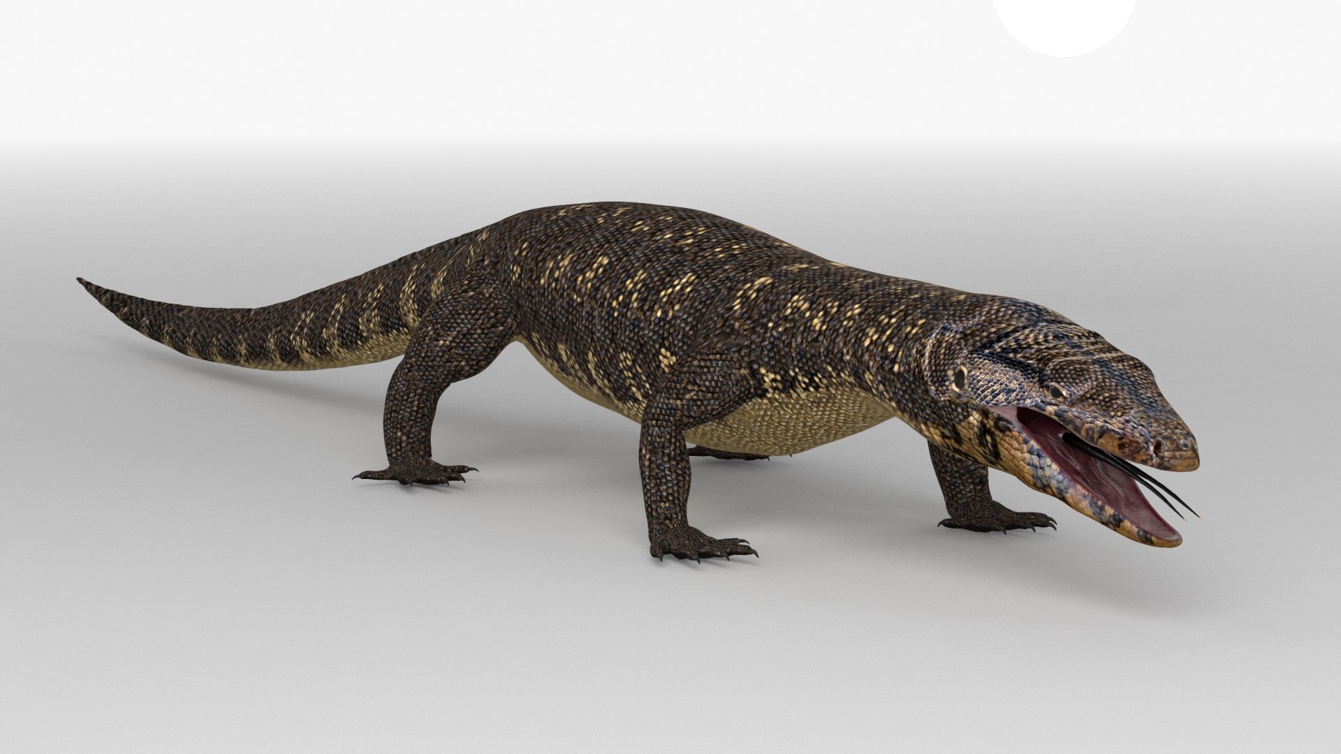 Monitor Lizard 3D Model - TurboSquid 1745786