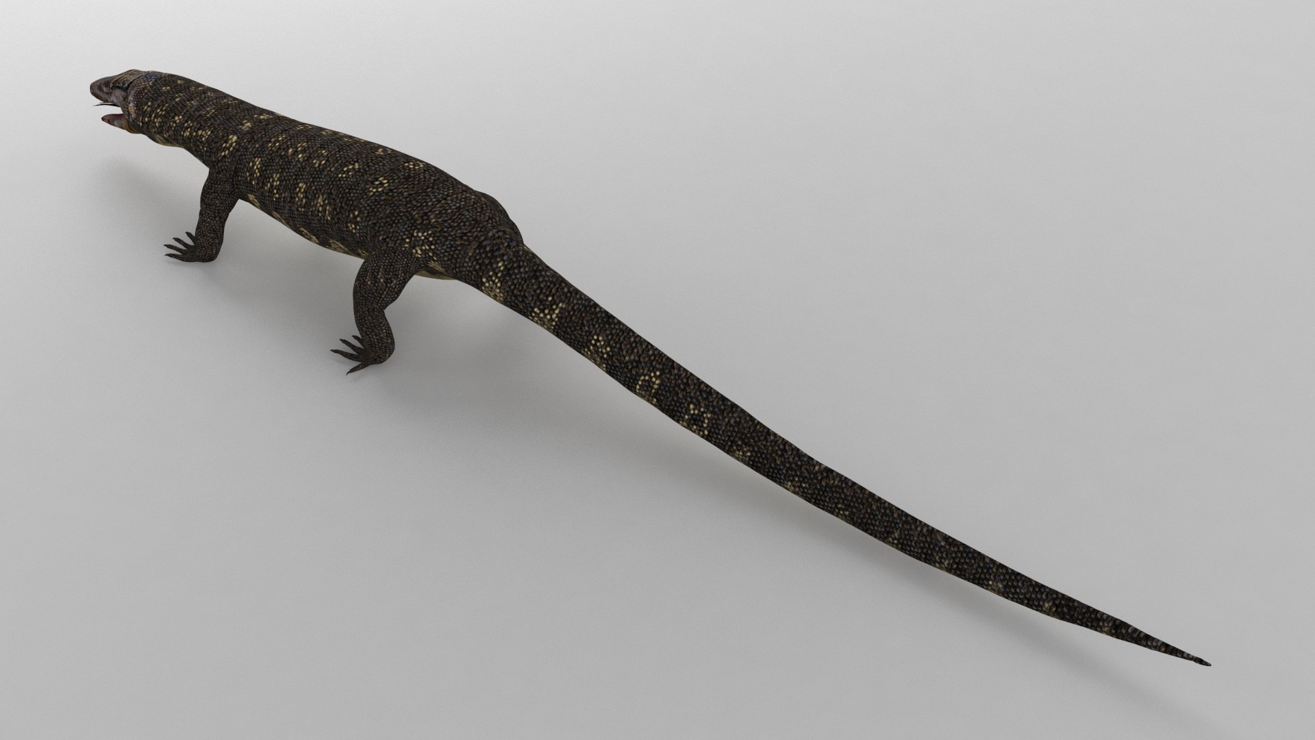 Monitor Lizard 3D Model - TurboSquid 1745786