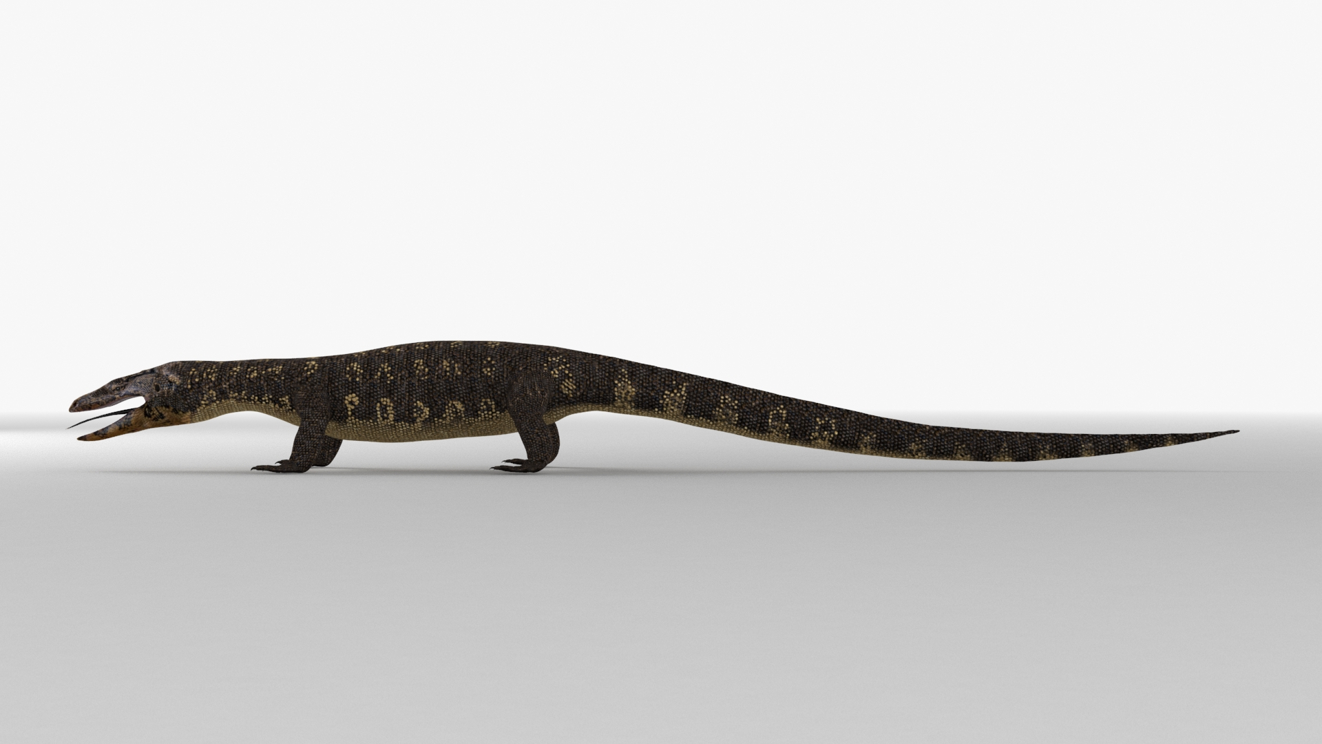Monitor Lizard 3D Model - TurboSquid 1745786
