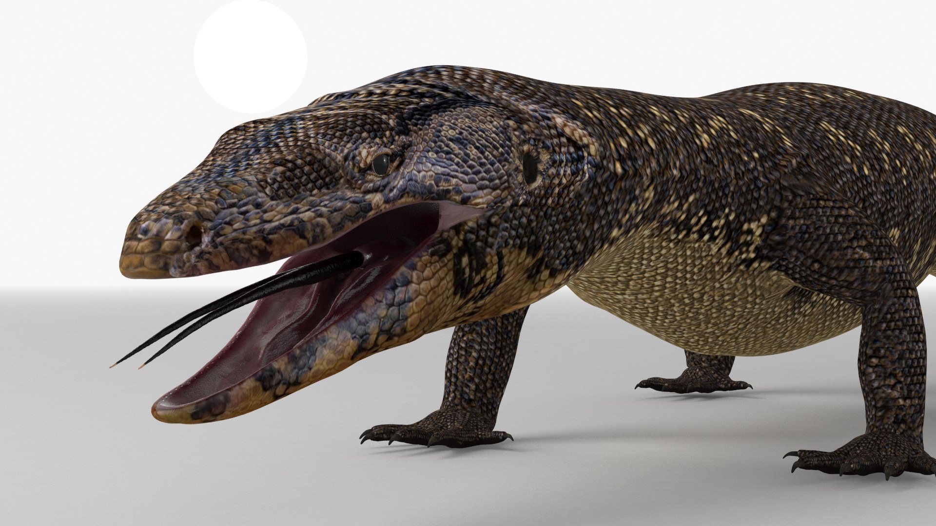 Monitor Lizard 3D Model - TurboSquid 1745786
