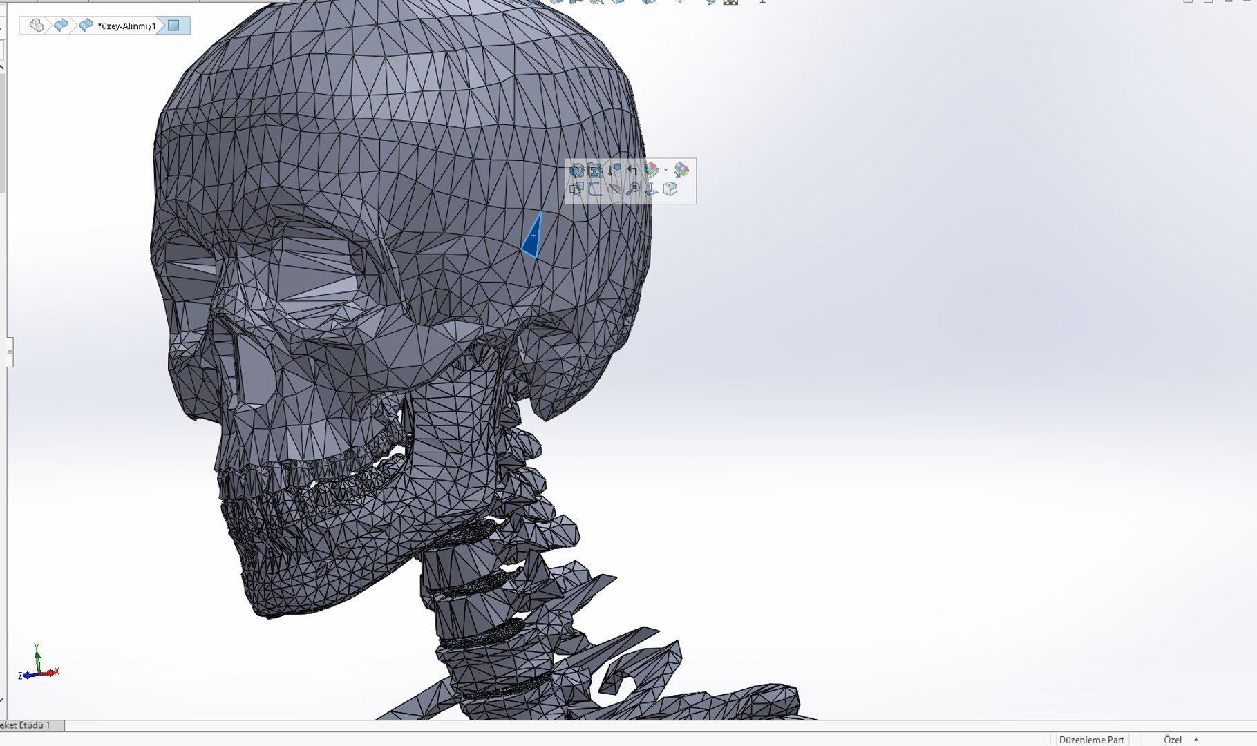 3D Model Insan Iskeleti - TurboSquid 1239646