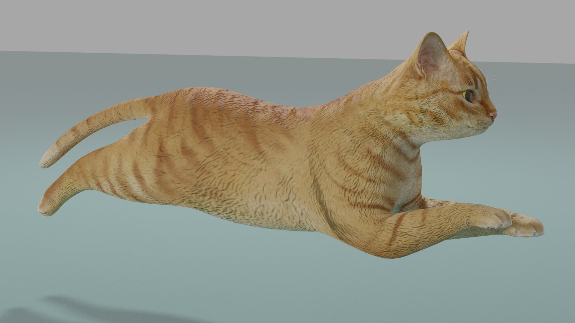 Ginger Cat 3D Model - TurboSquid 2314963