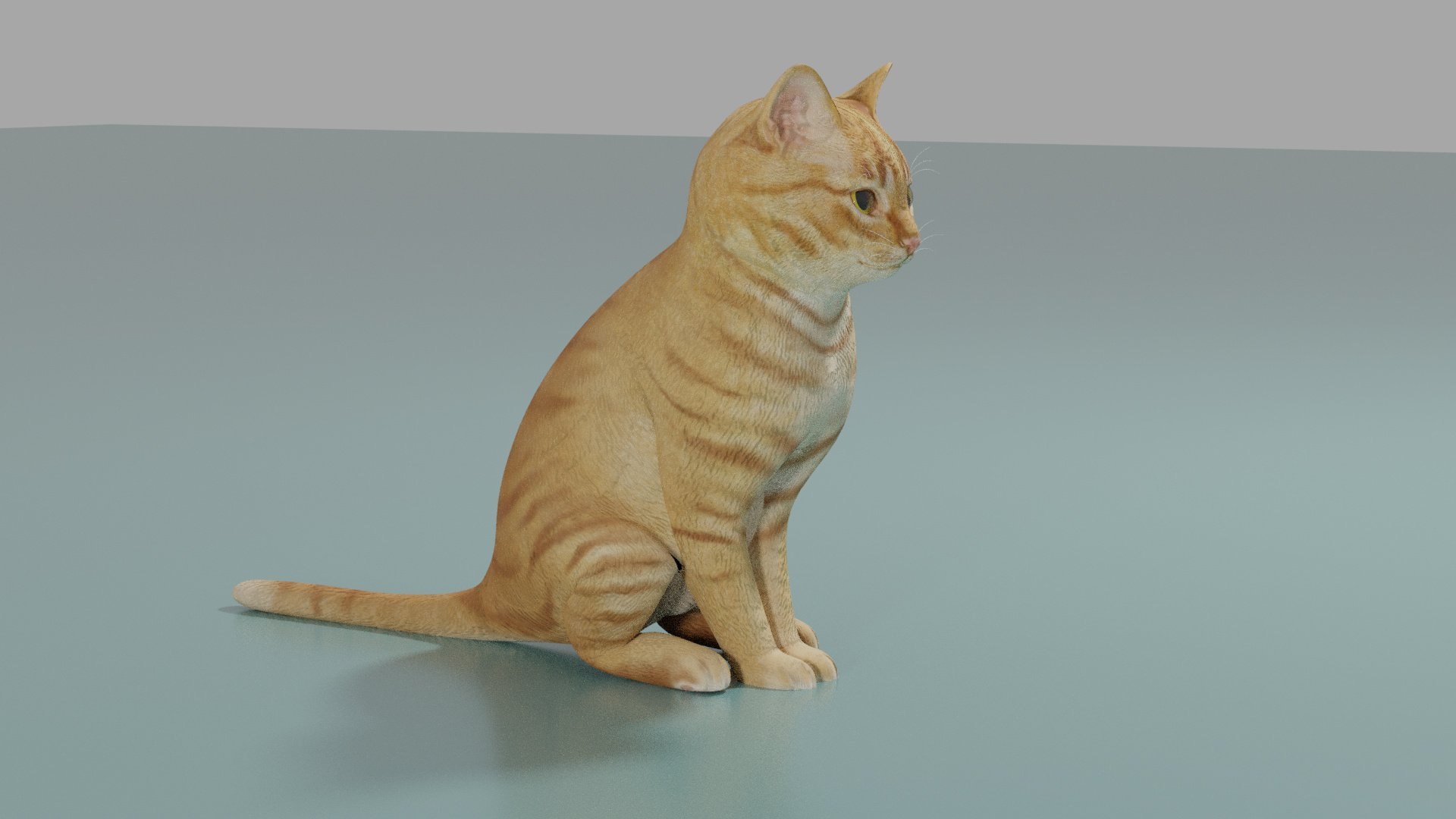 Ginger Cat 3D Model - TurboSquid 2314963