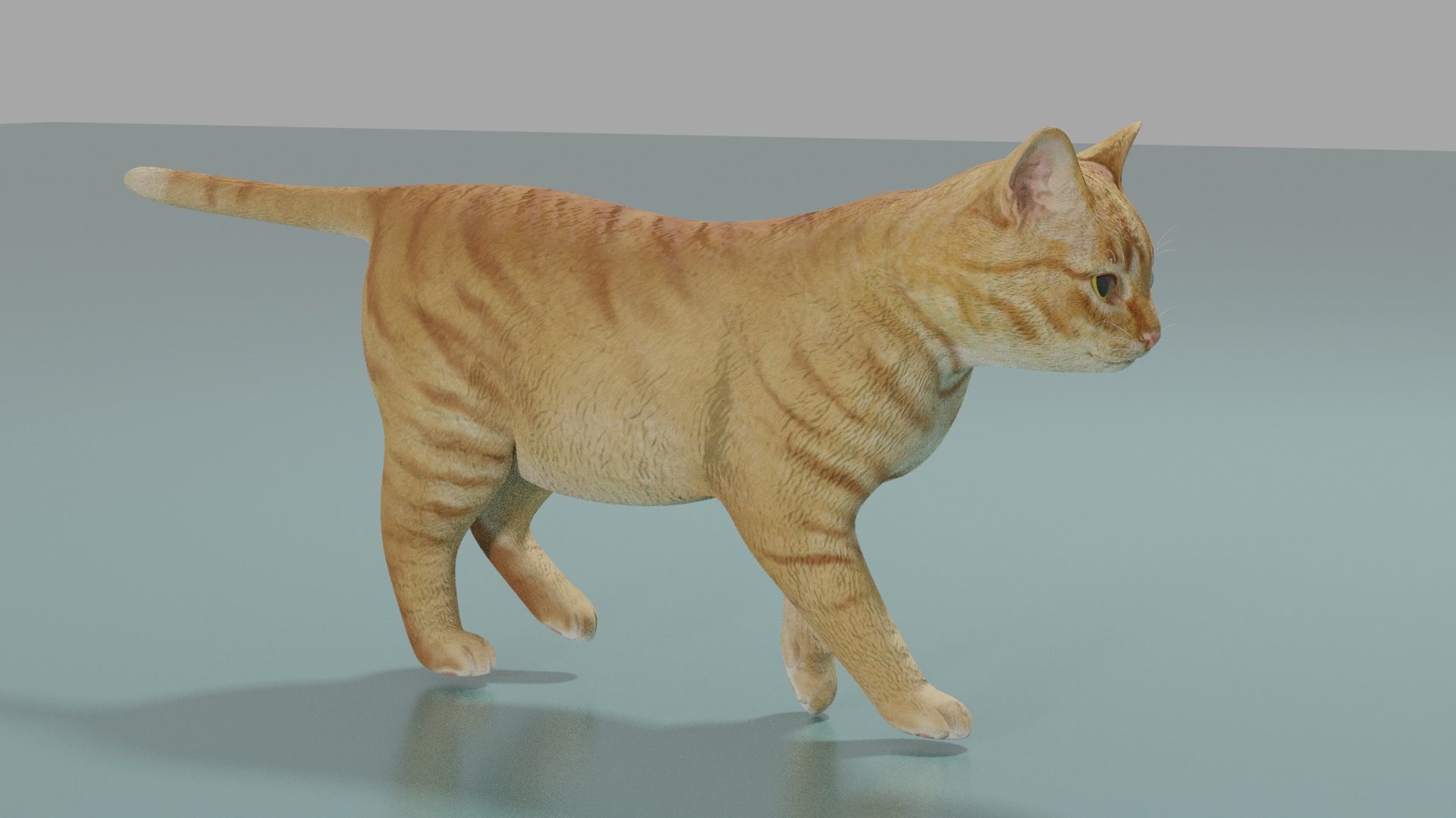 Ginger Cat 3D Model - TurboSquid 2314963
