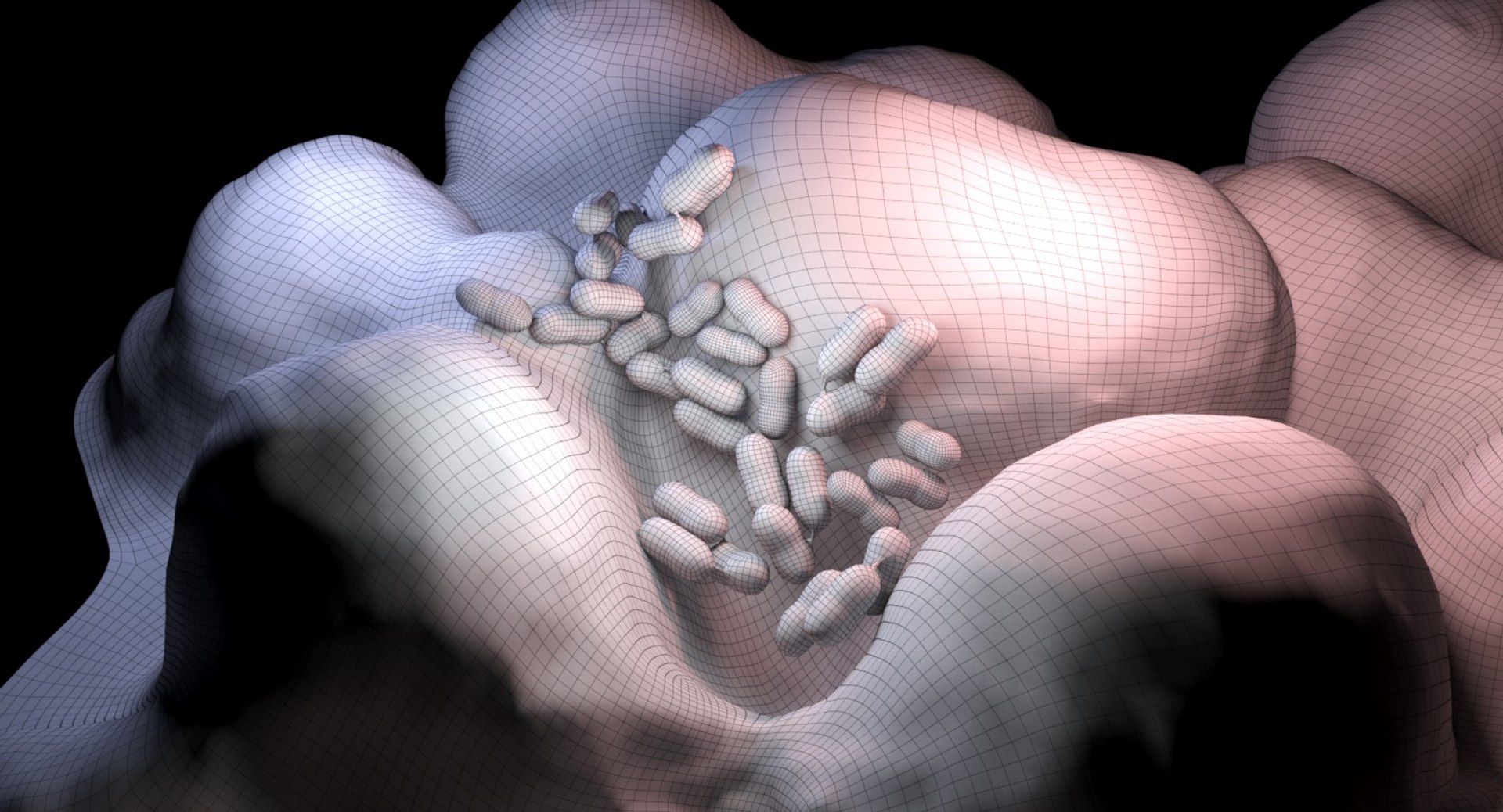 3D listeria - TurboSquid 1321227