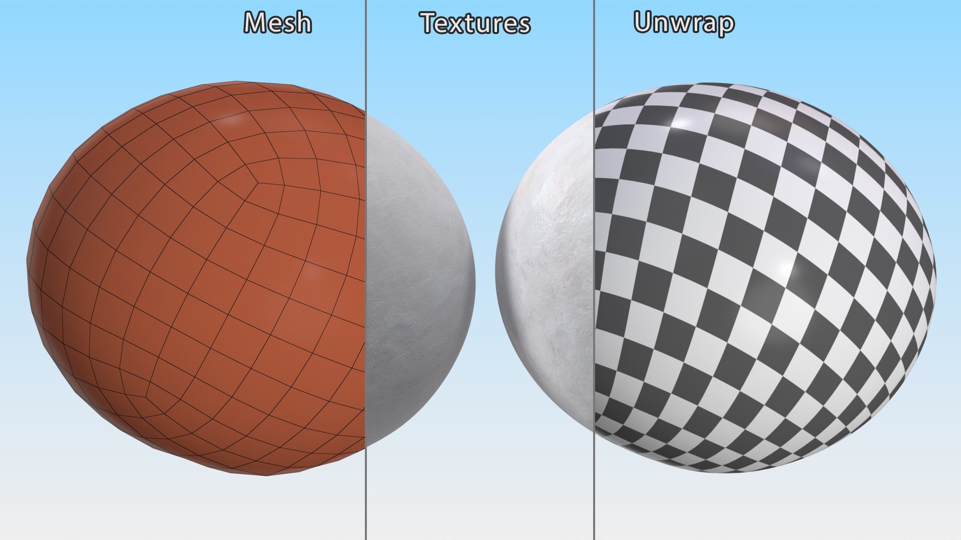 Sea Turtle Reproductive Cycle Collection Model - TurboSquid 2209200