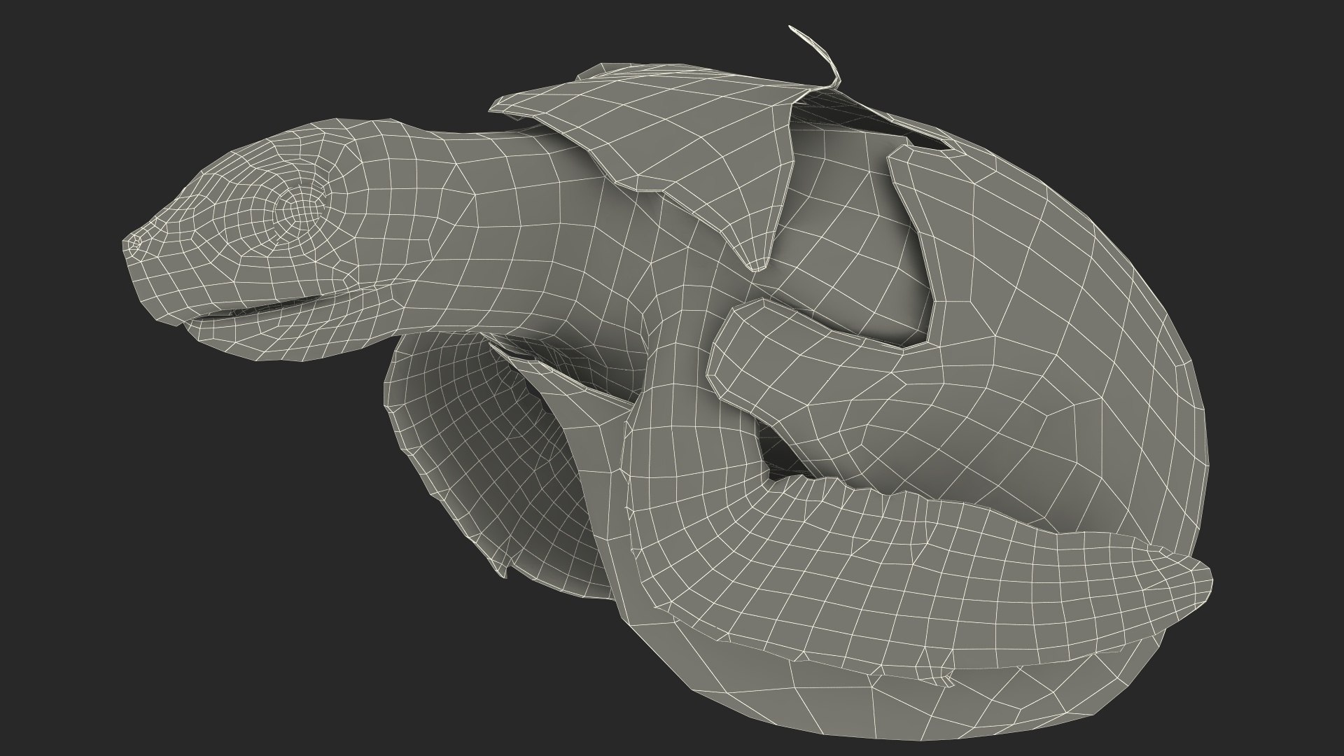 Sea Turtle Reproductive Cycle Collection Model - TurboSquid 2209200