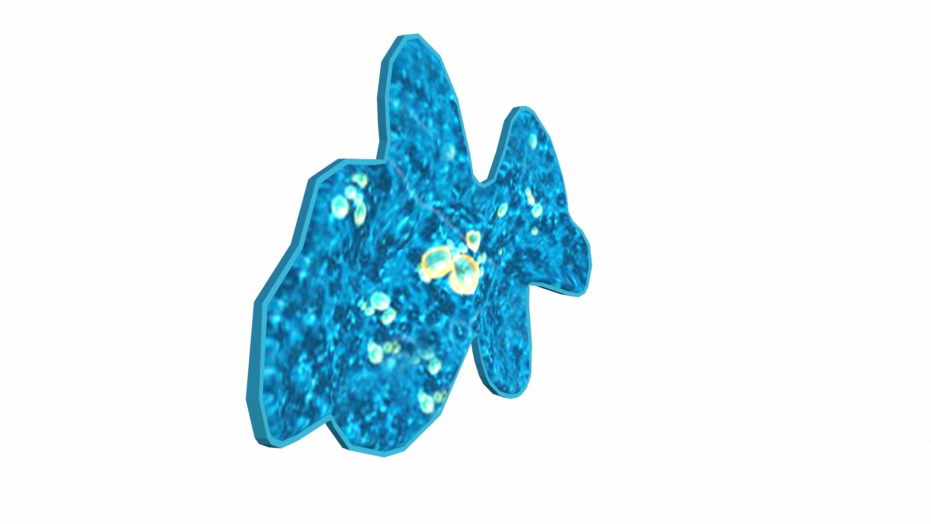 Amoeba 3D Model - TurboSquid 2355188