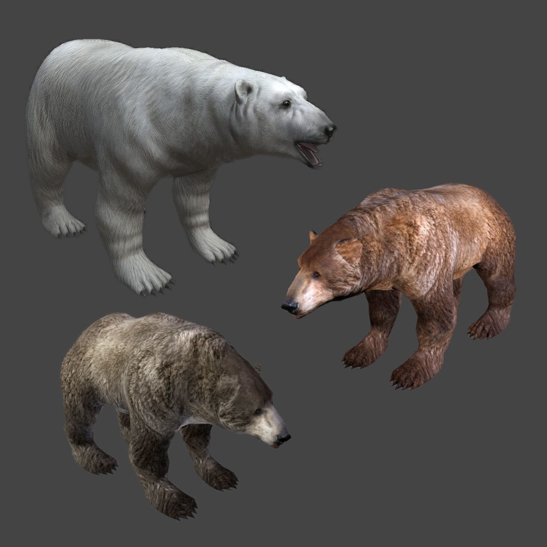 3D 3 Bear Polar Brown - TurboSquid 1495671