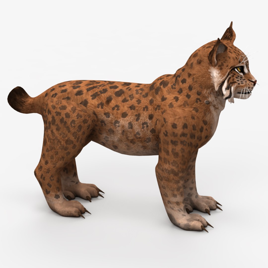 Lynx 3d Max